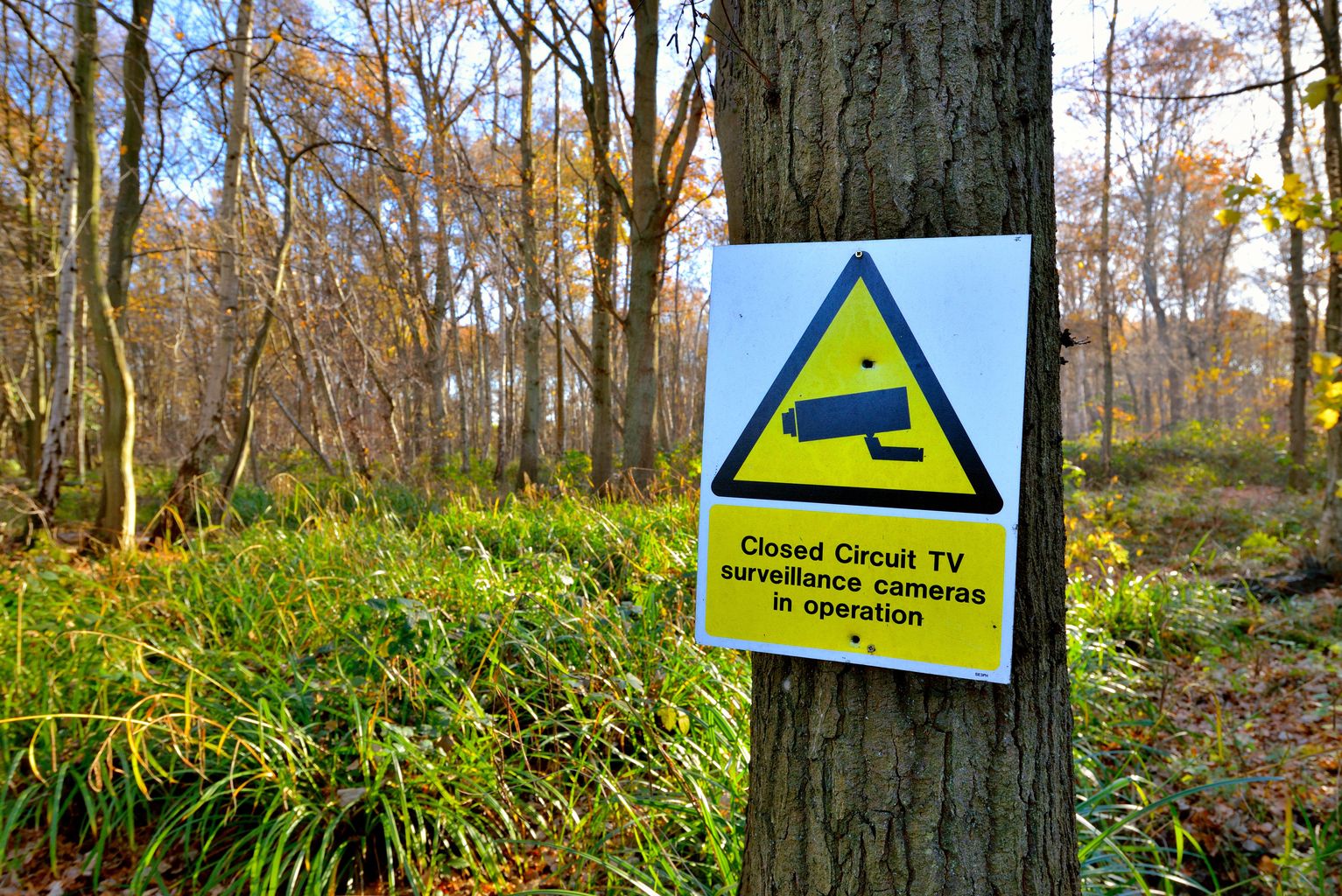 Surrey's Deputy PCC: "Rural crime fuels organised crime" | News ...