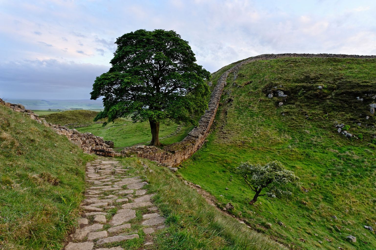 Hadrian's Wall damaged during felling of Sycamore Gap tree | News ...