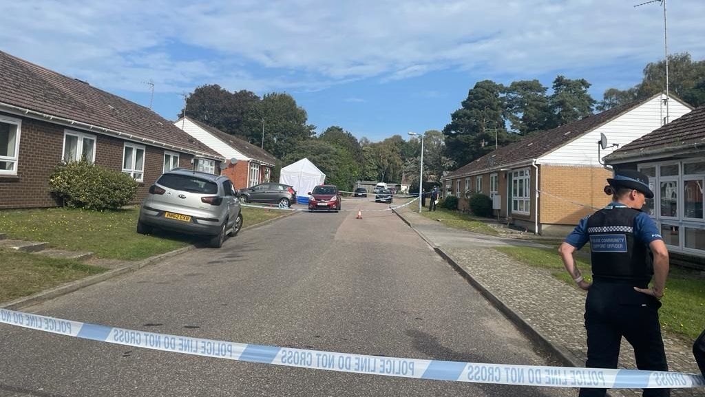 Man appears in court charged with murder following Sutton stabbing ...