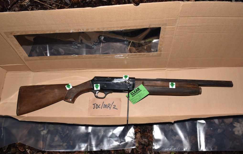 Man jailed after guns found buried in Southampton woodland | News ...