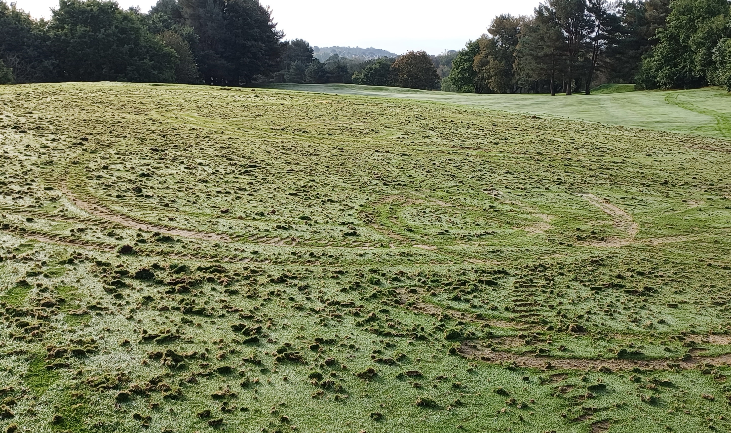 Golf course damaged by quad bikes in Stoke-on-Trent | News - undefined