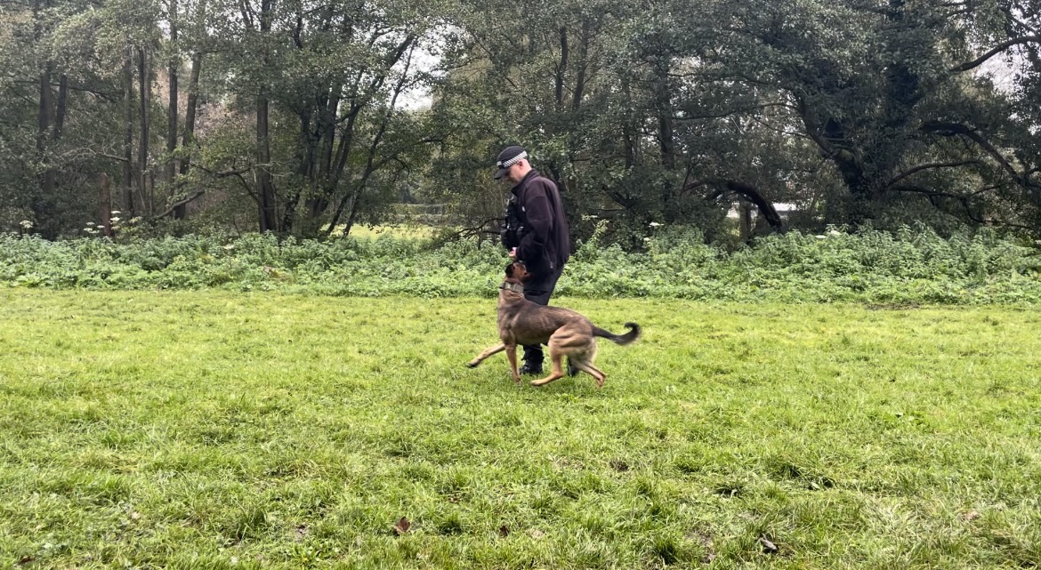 Swindon dog trainer urges to 'be responsible’ around livestock