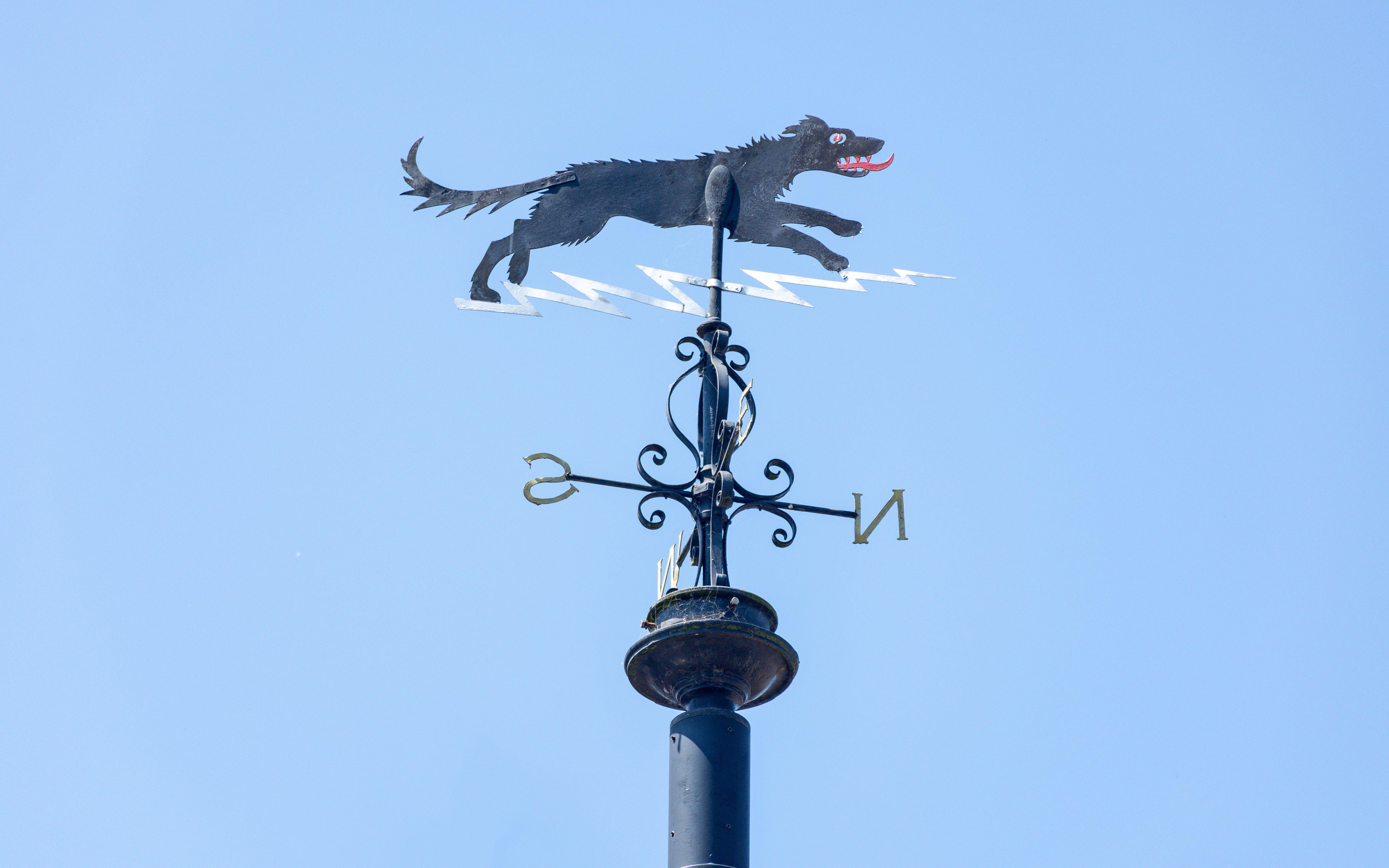 Have you seen the Black Shuck? The ghostly dog said to stalk the ...