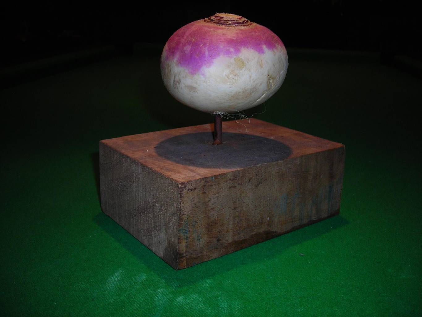 Turnip Prize: Iconic spoof art award opens to entries for 25th year