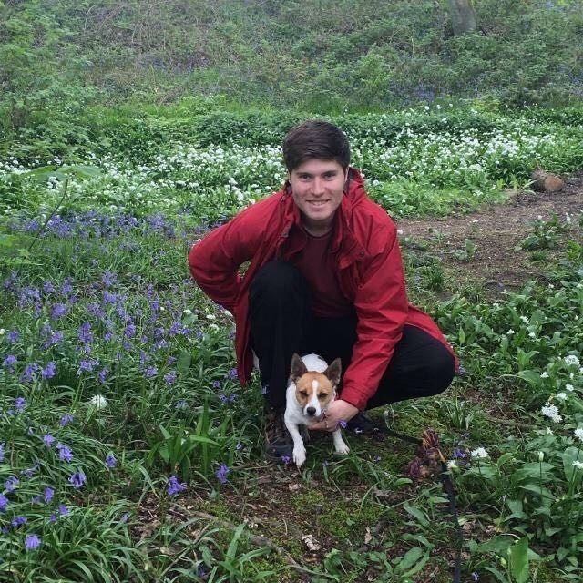 £20,000 reward offered for information that leads to conviction of ...