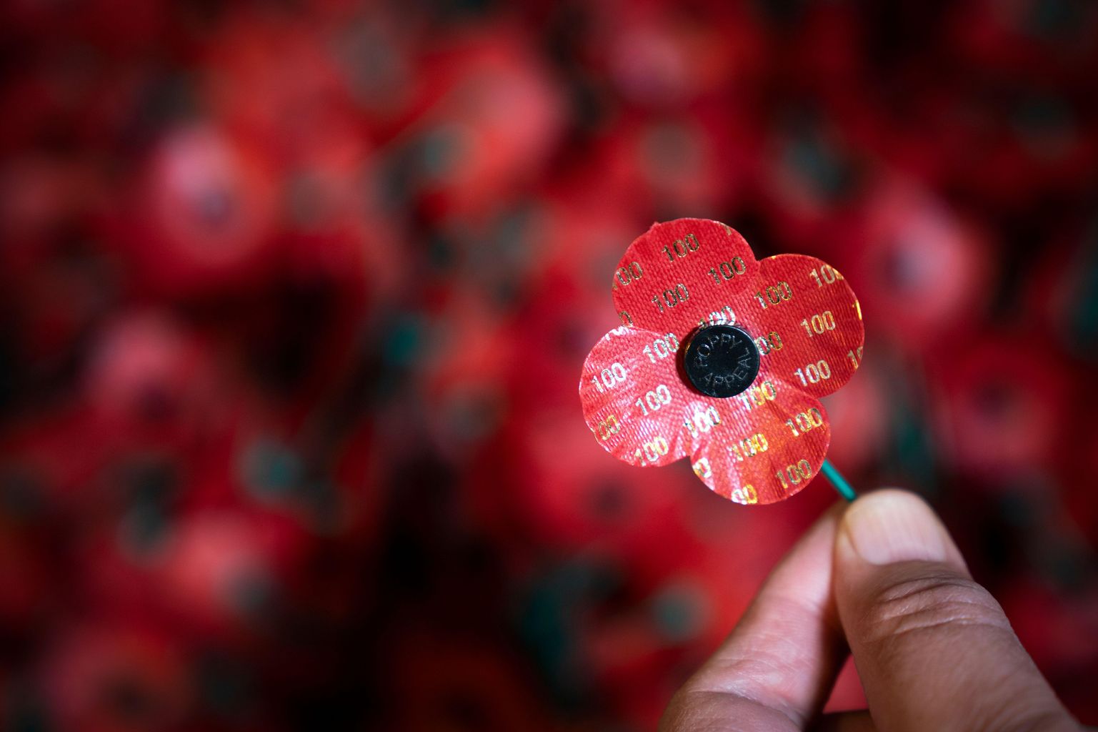 Police end investigation into alleged assault of poppy-selling veteran
