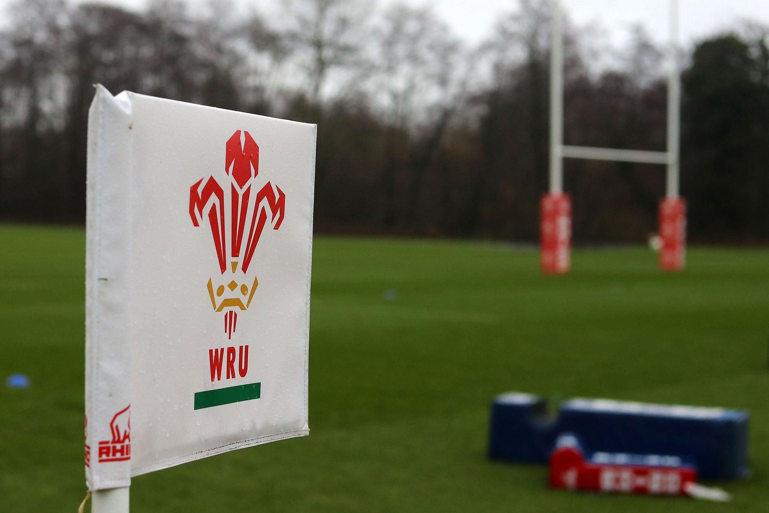 Taking action will build up lost trust, says new WRU CEO | News - undefined