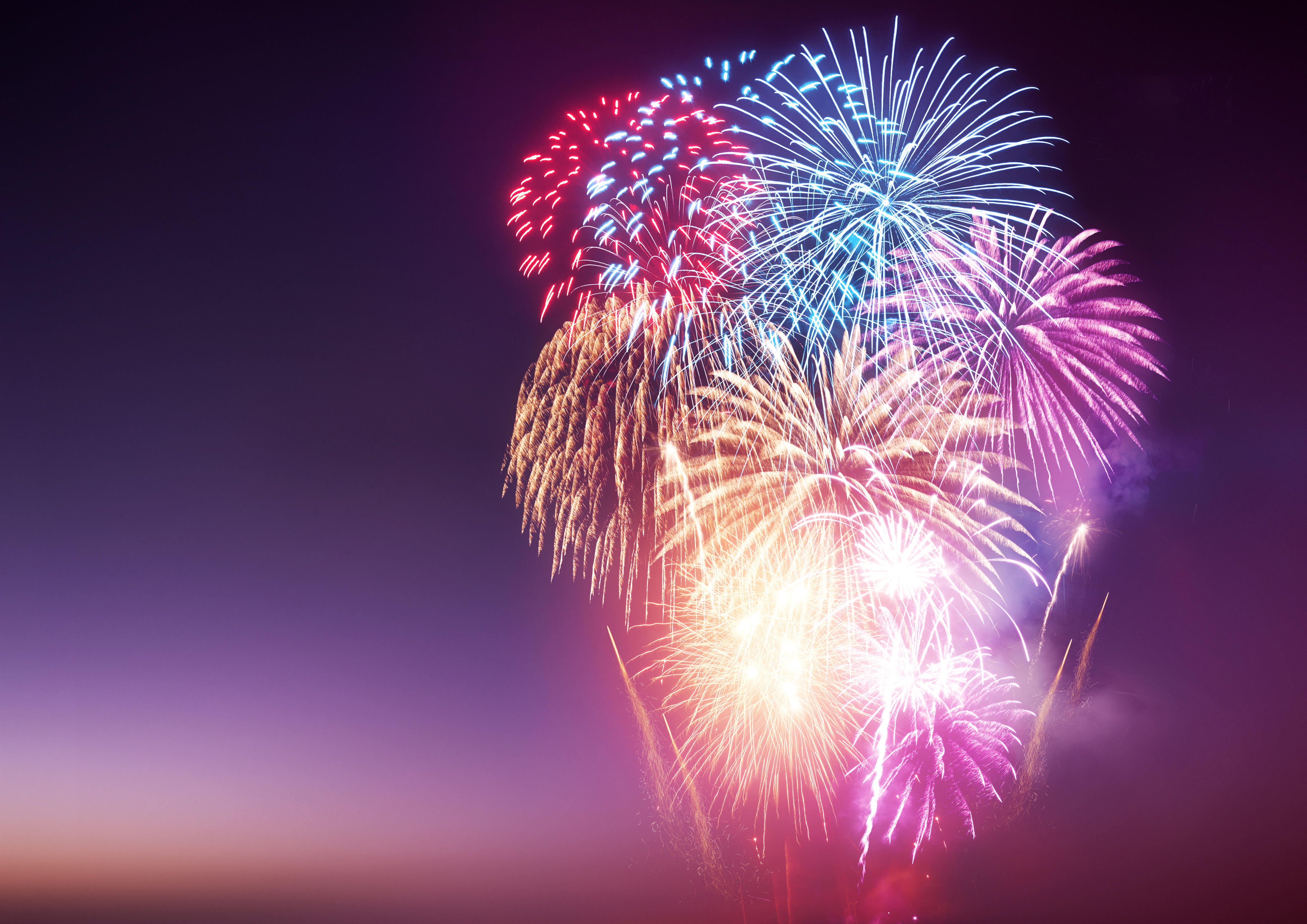 Calls grow for ban on firework sales to the public