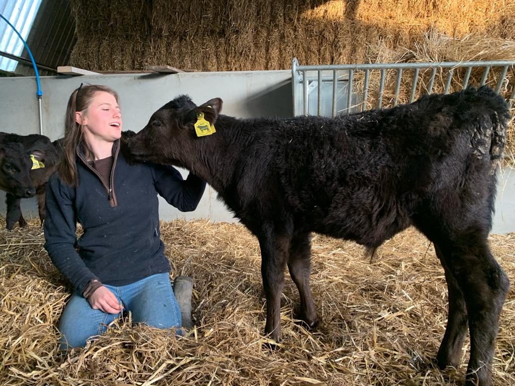North Yorkshire farmer explains why she loves cuddling her cows