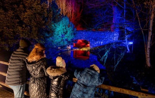 WATCH: First winter light trail opens in the Scottish Borders | News ...