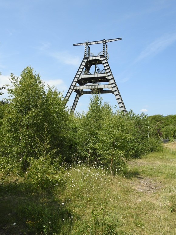 Calls to save former East Ayrshire colliery reclaimed by nature