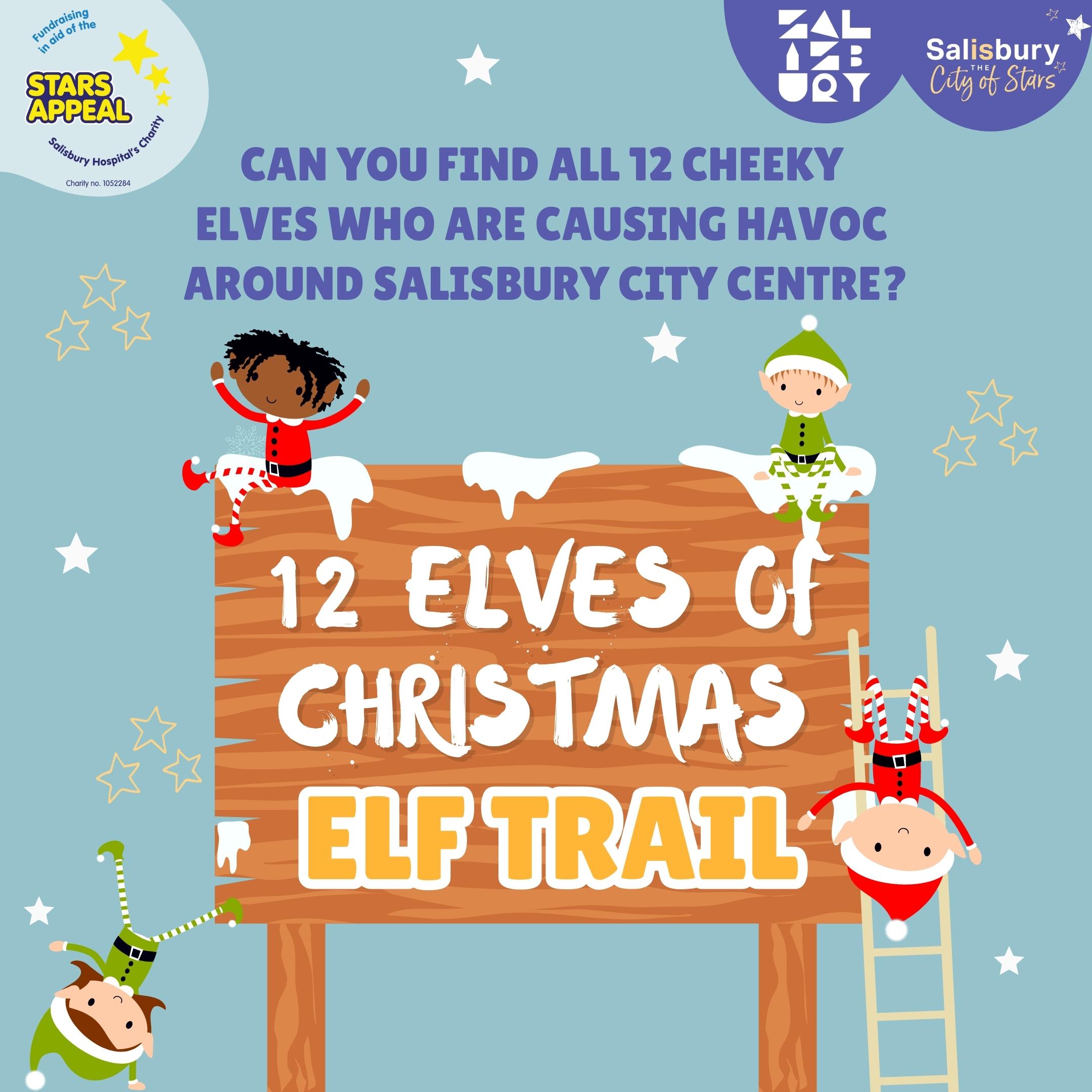 Can you spot the 12 Elves of Christmas hiding in Salisbury?