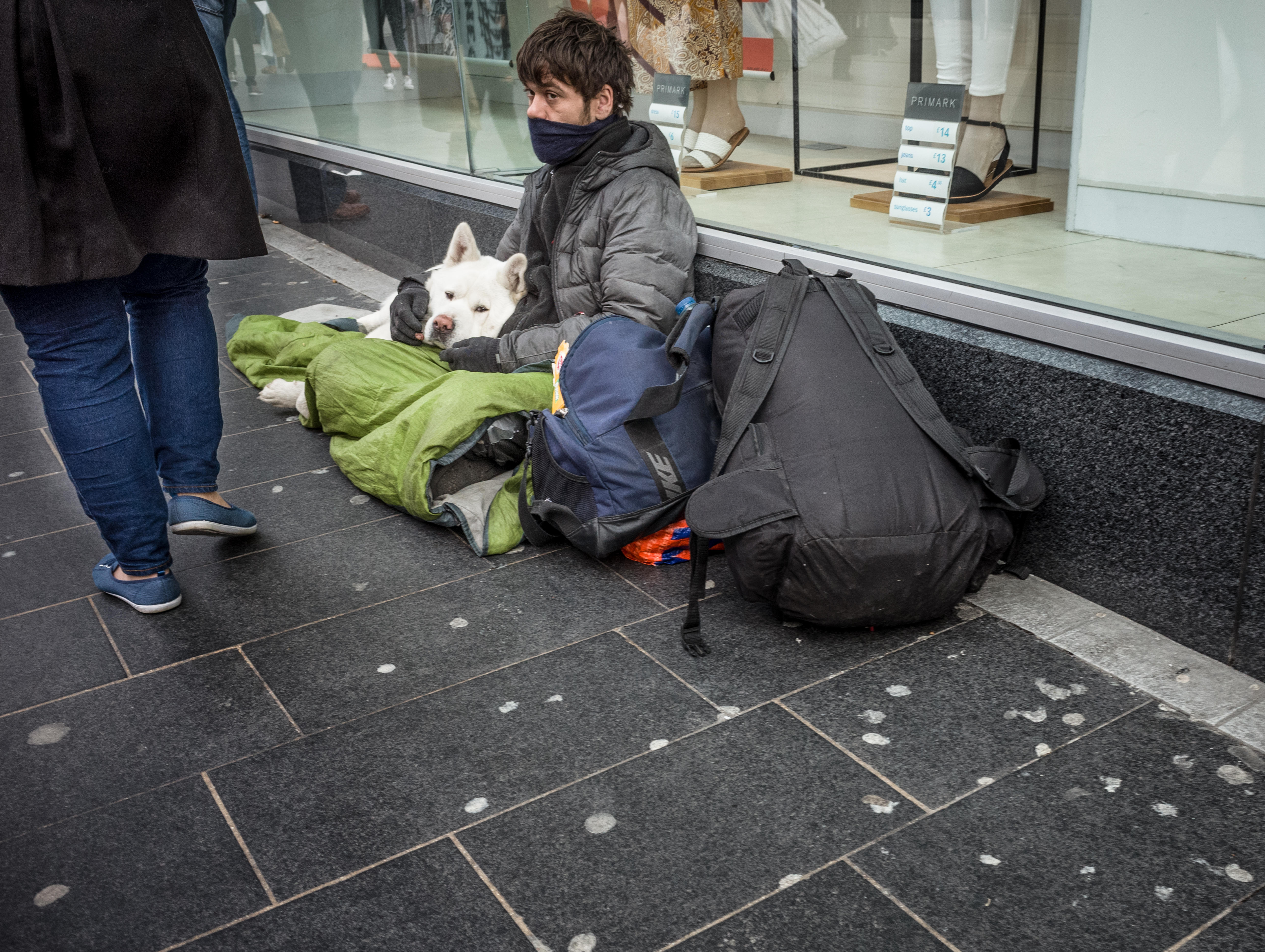 Dogs Trust deliver Christmas hope to people experiencing homelessness ...
