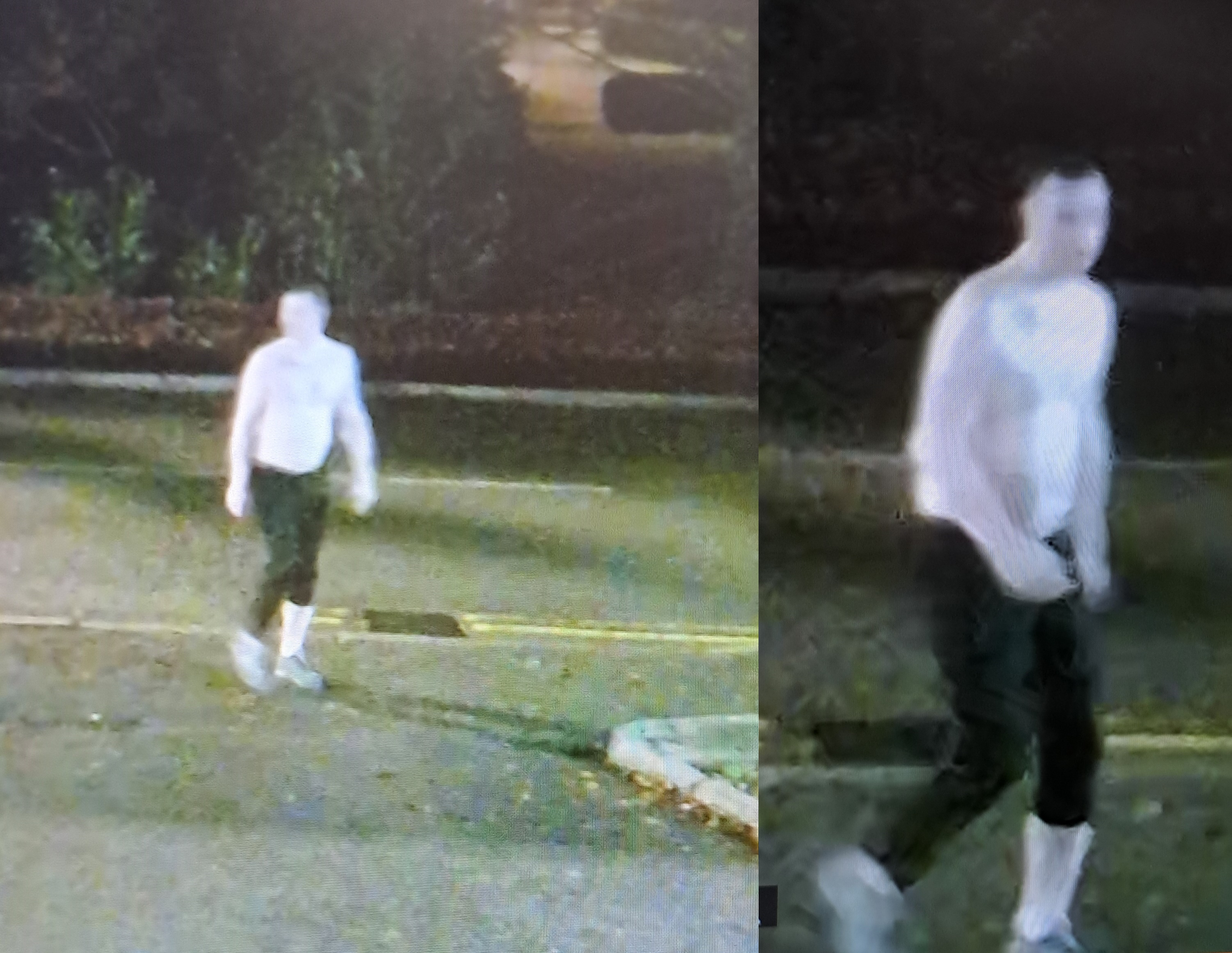 APPEAL: Police release image of missing man seen entering River Severn ...