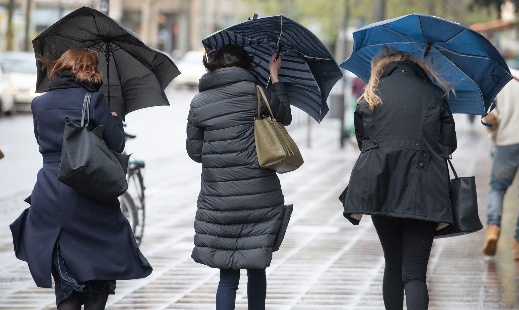 Storm Pia brings strong winds to Northern Ireland