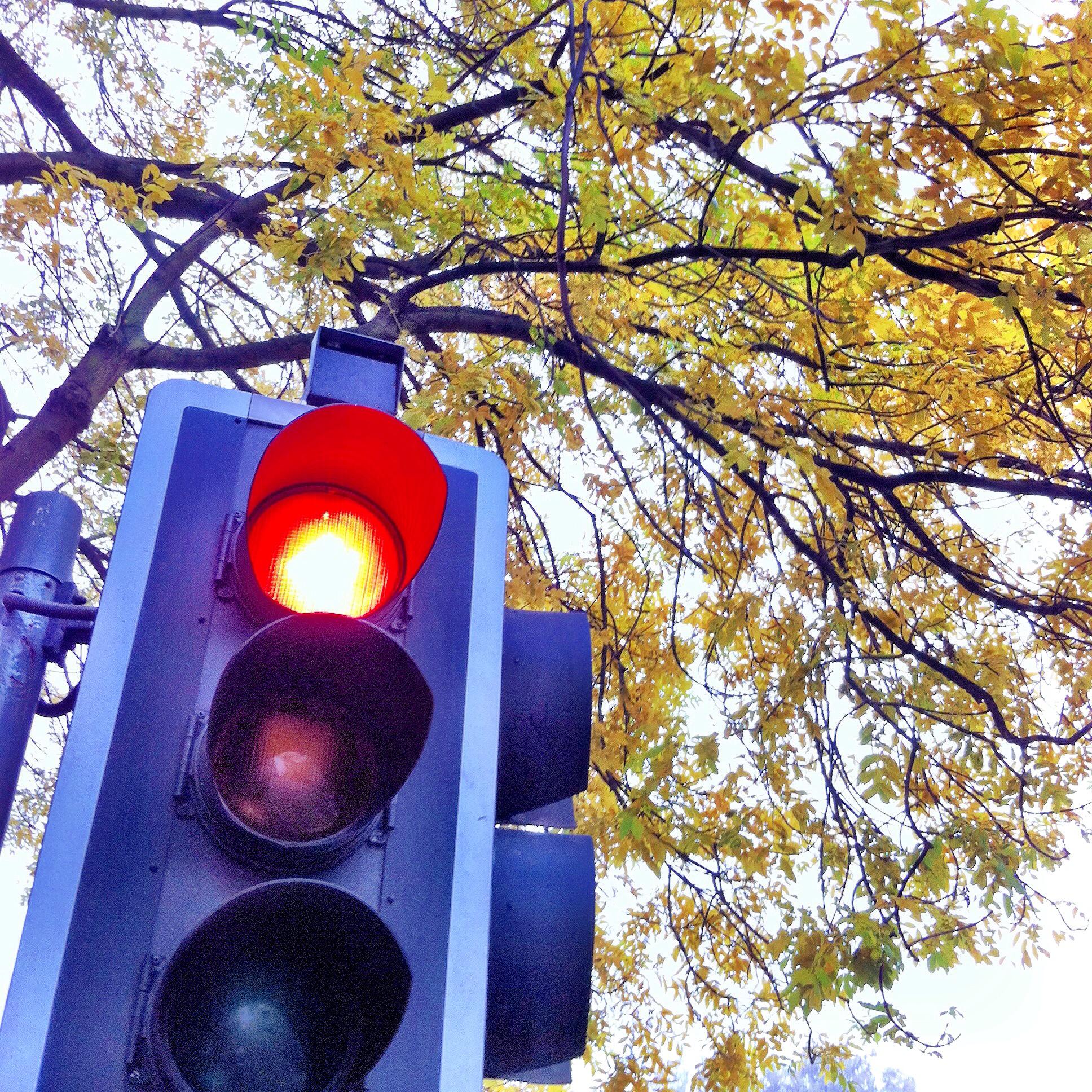 Hundreds of Birmingham drivers running red lights | News - undefined