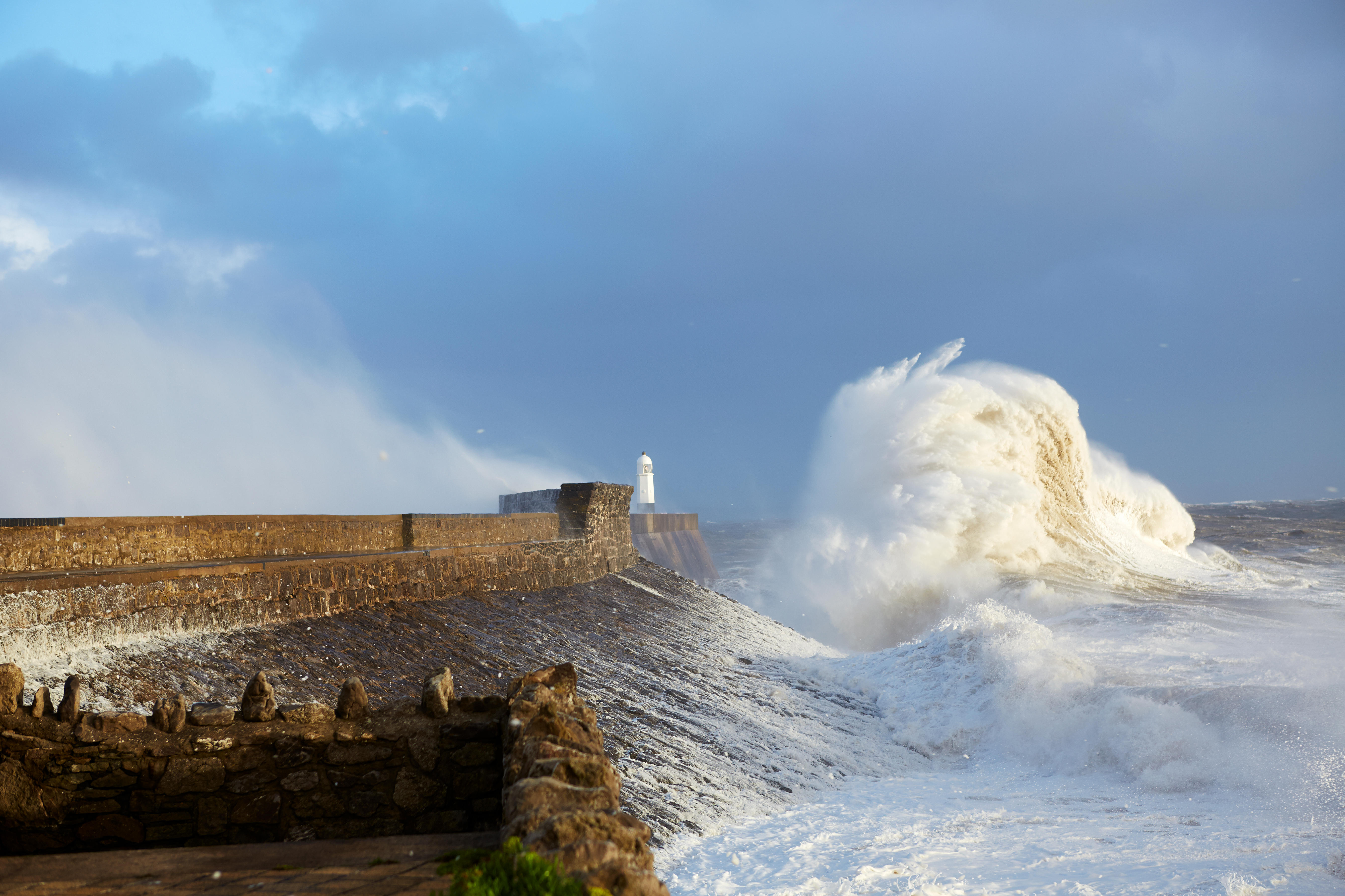 Train hit by tree between Glasgow and Dundee during Storm Gerrit | News ...