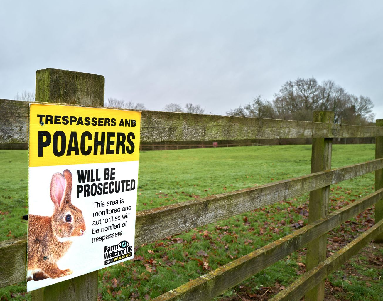 Deer poaching warning issued by Cumbria Police | News - Greatest Hits ...
