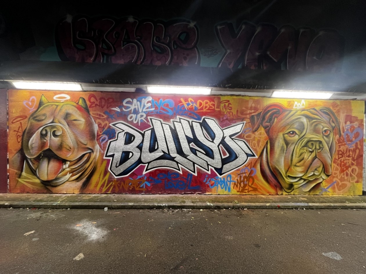 XL bully mural unveiled in Peterborough by local artist | News ...