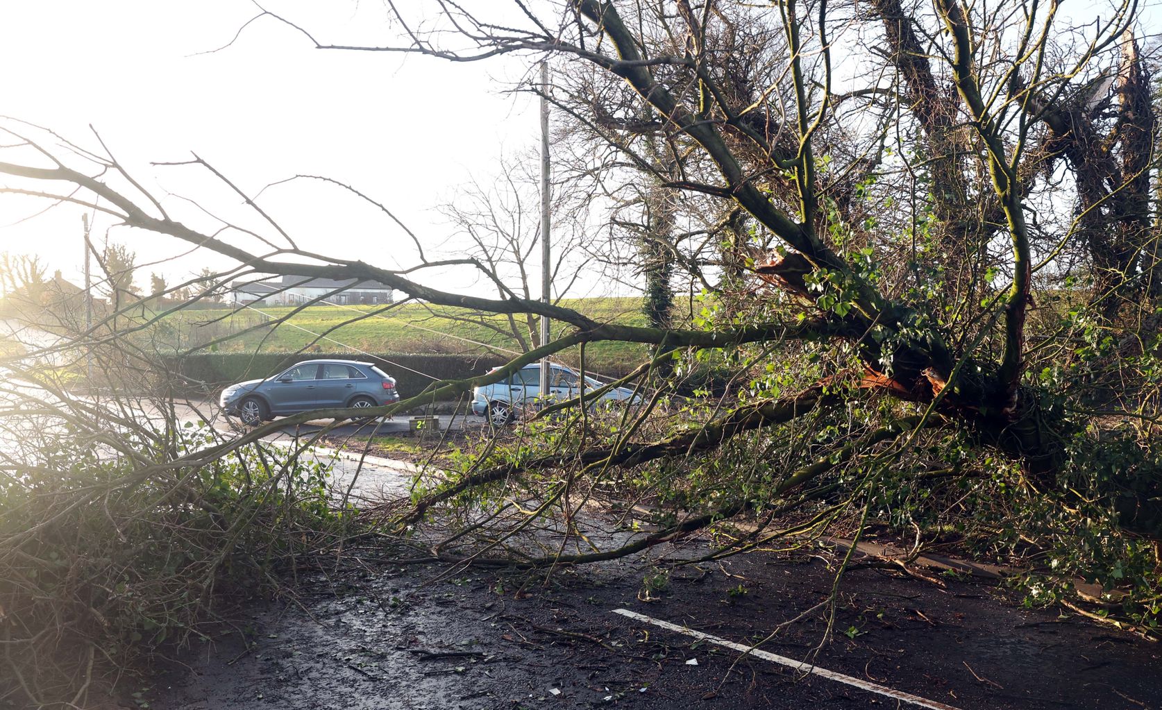 Storm Jocelyn could hamper efforts to restore power to homes, warns NIE ...