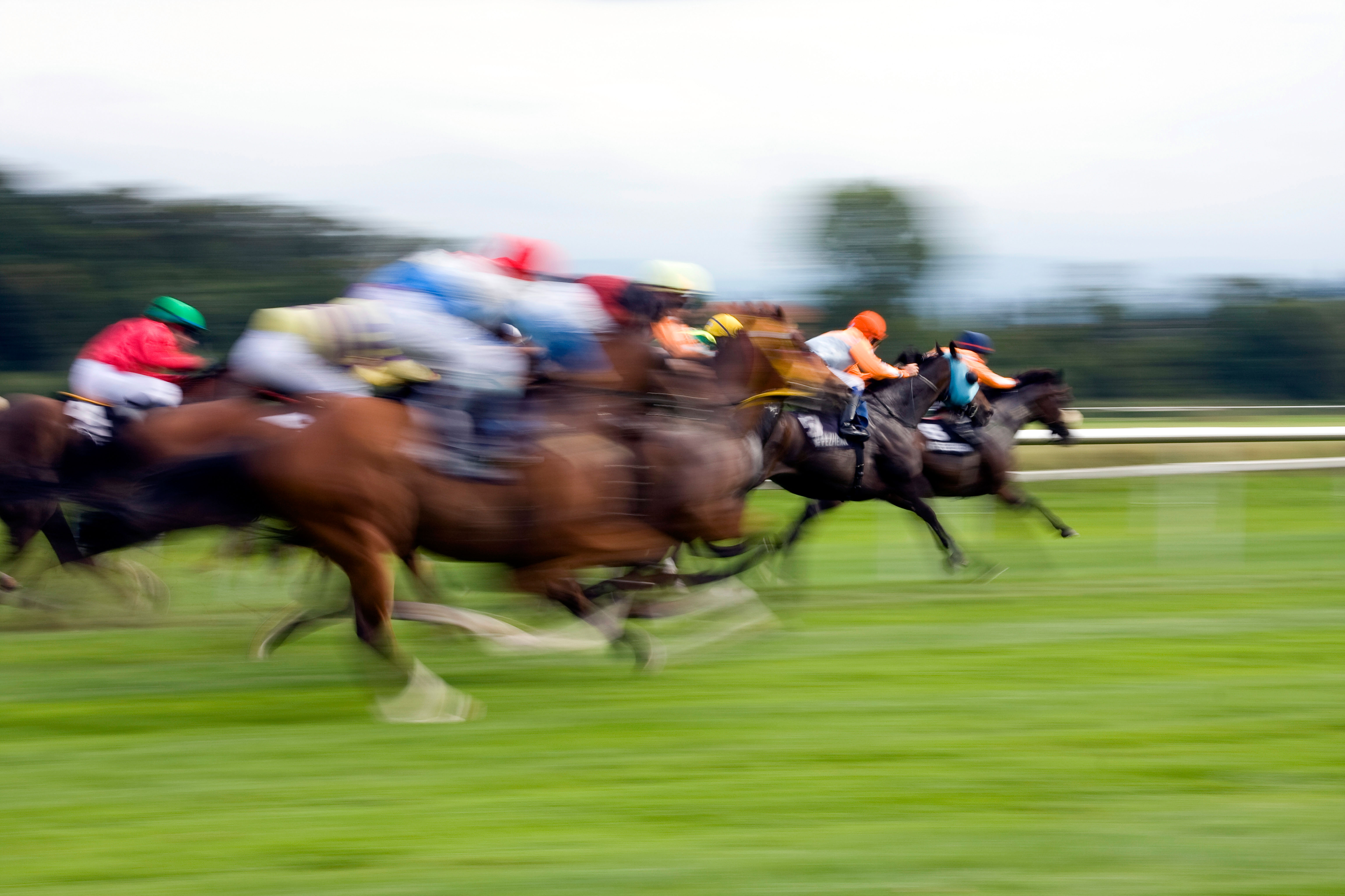 A jockey has died following a fall at Charing point-to-point.