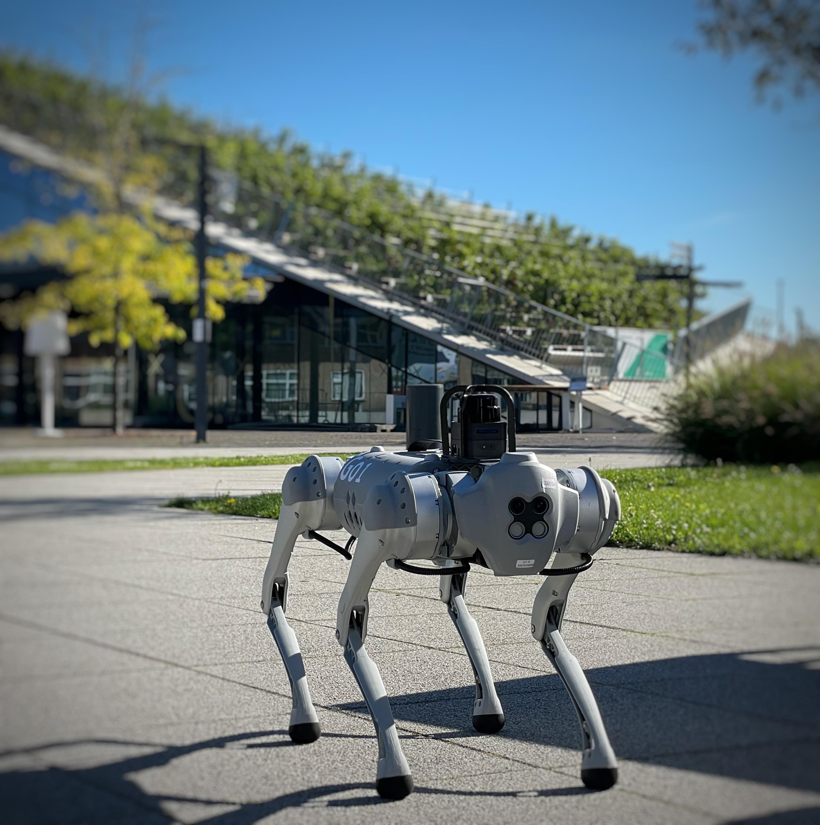 AI-powered robot guide dogs developed for visually impaired