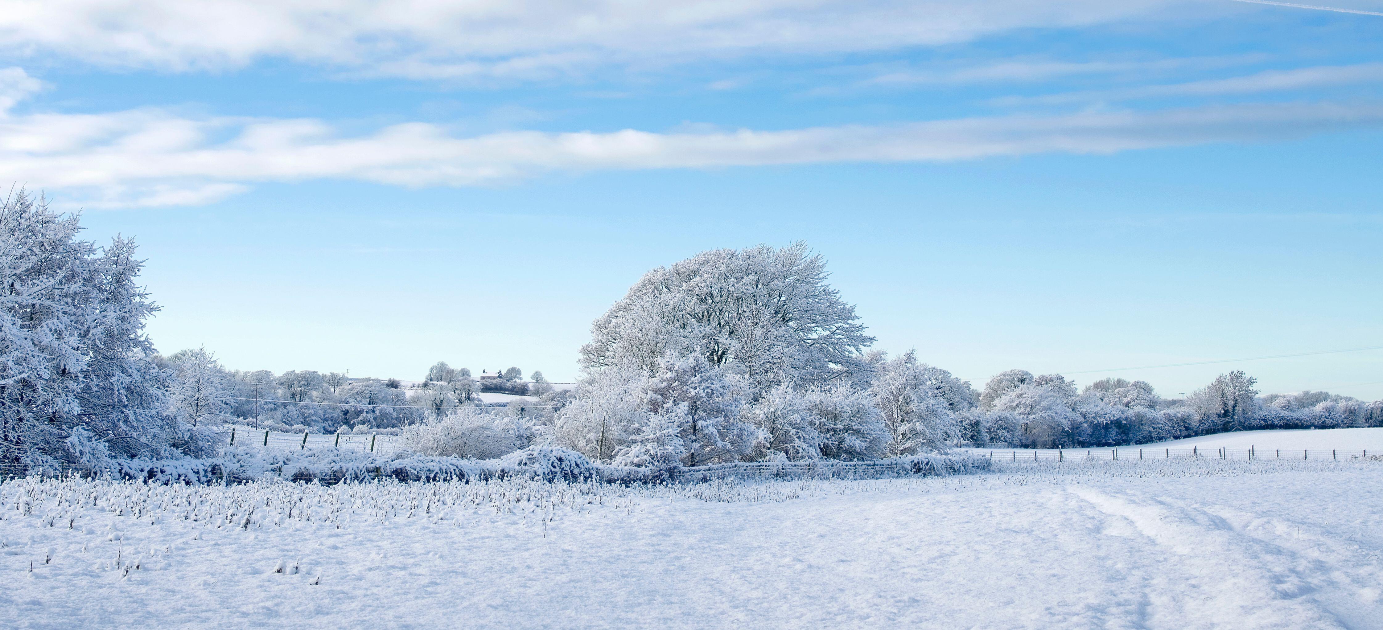 Stranded cars in heavy snow on the A66