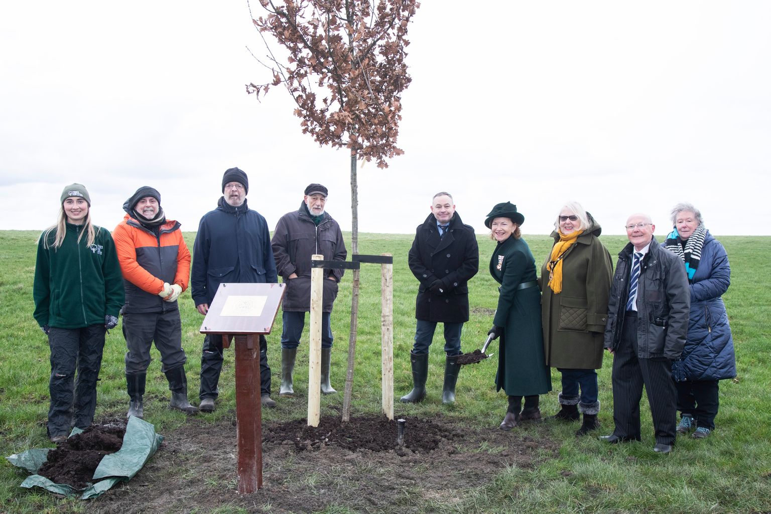 12,000 new trees to be planted on Newcastle's Town Moor | News - undefined