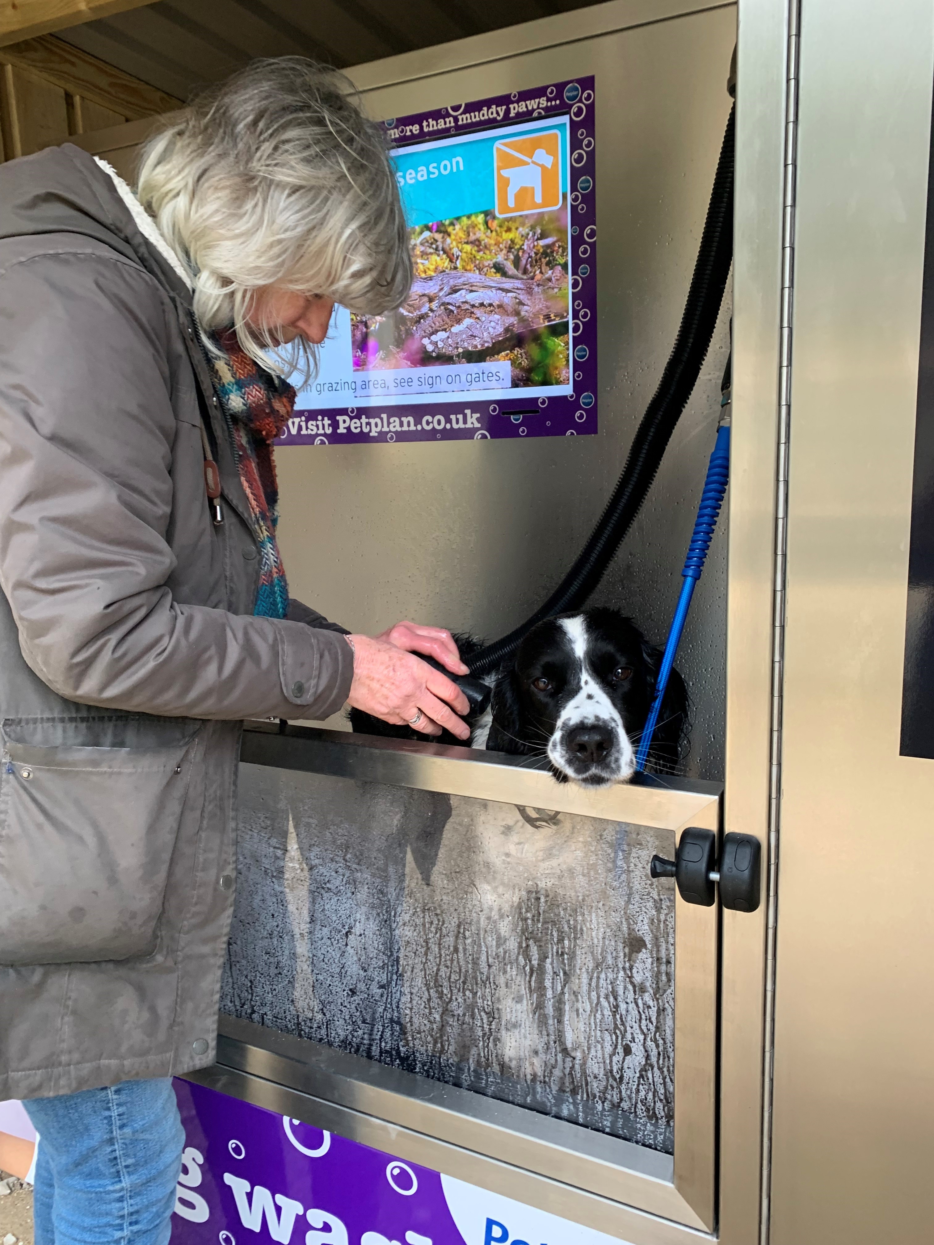 Self service 'dog wash' to open at Thomas Hardy's birthplace visitor centre