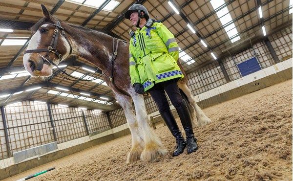 GMP welcome their biggest ever horse to their Mounted Unit