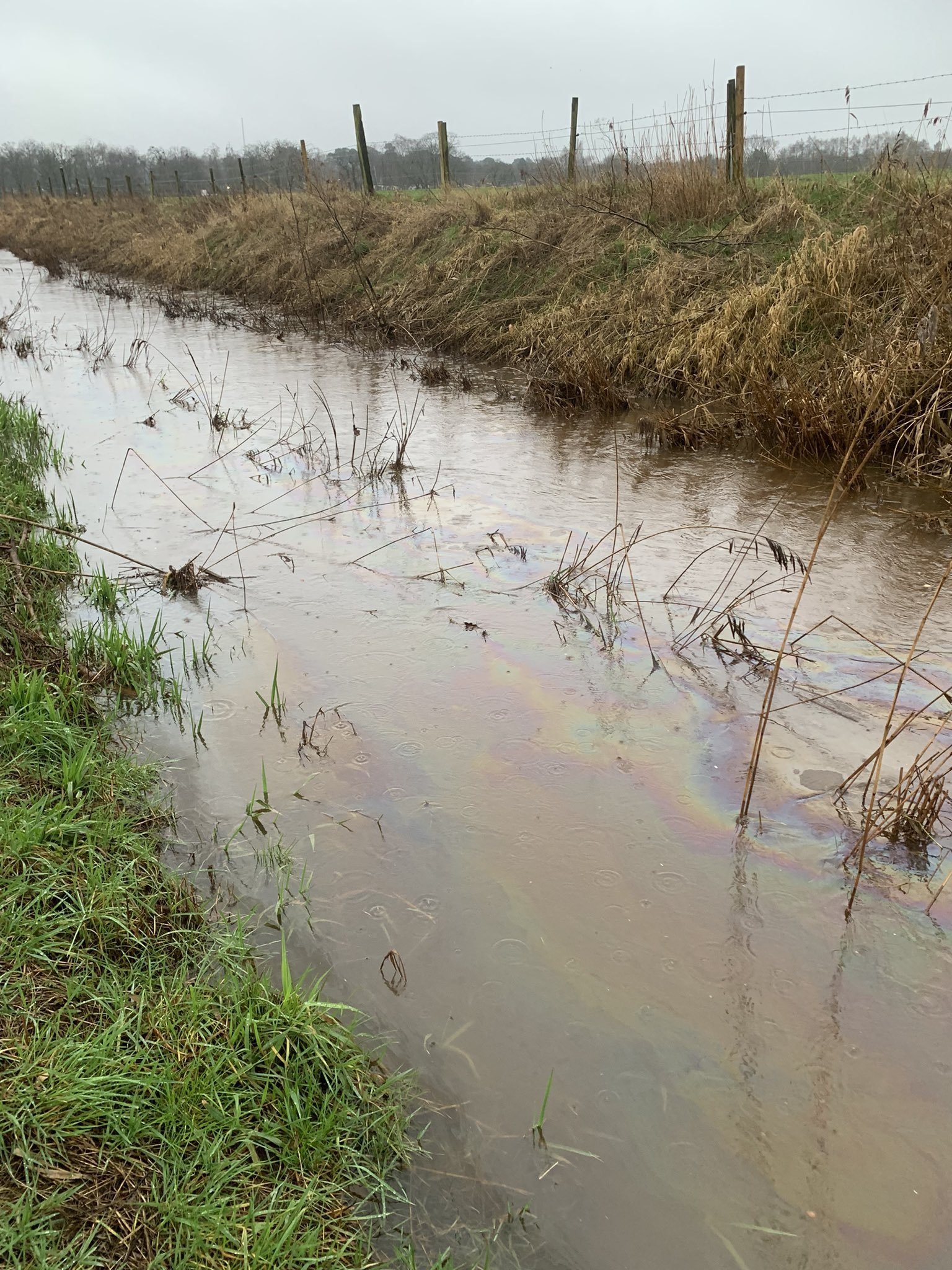 Environment Agency investigates Norfolk river pollution | News ...