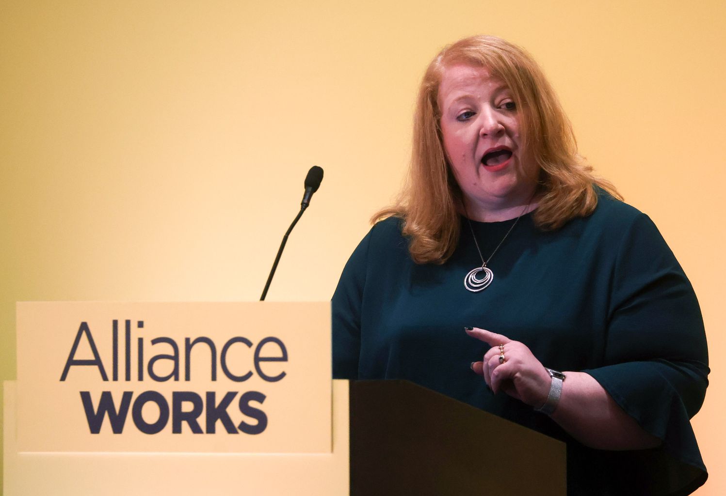 Alliance leader: Secretary of State must do 'heavy lifting' on reform ...