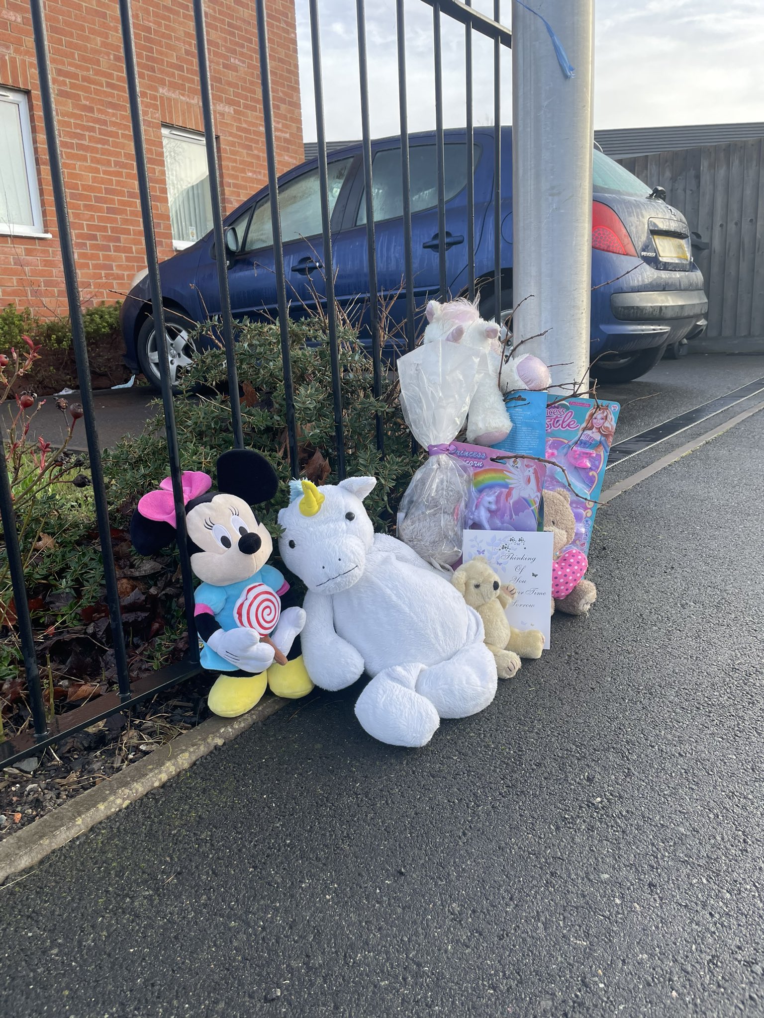 Girl, 10, killed in Rowley Regis named locally as tributes pour in ...