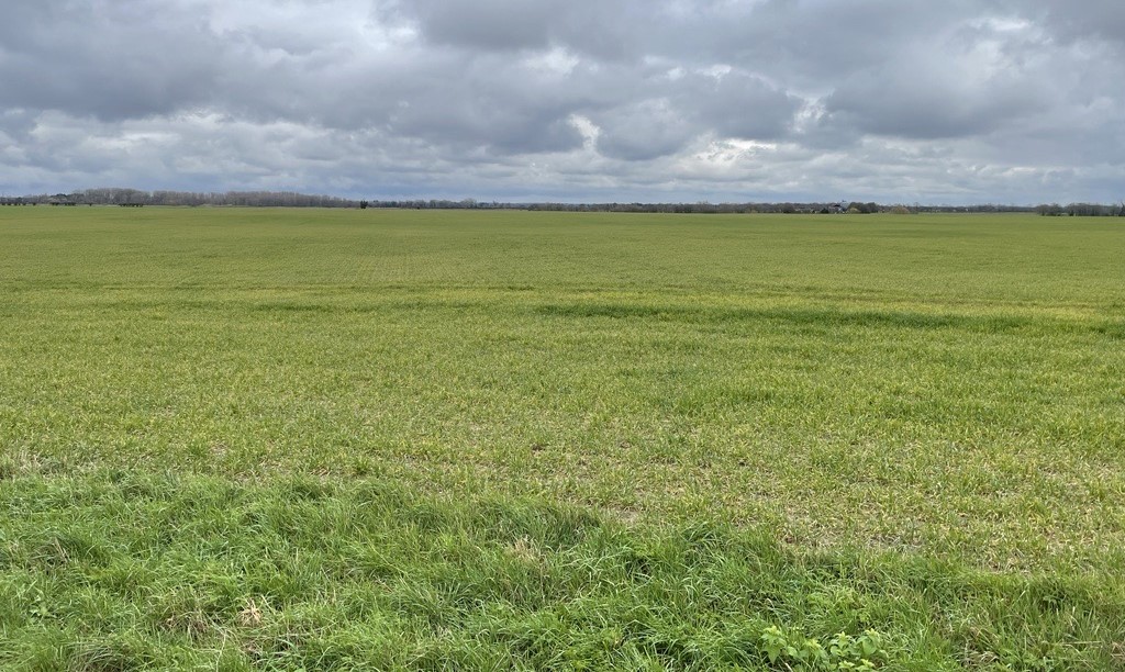 Massive solar farm on Cambridgeshire-Suffolk border