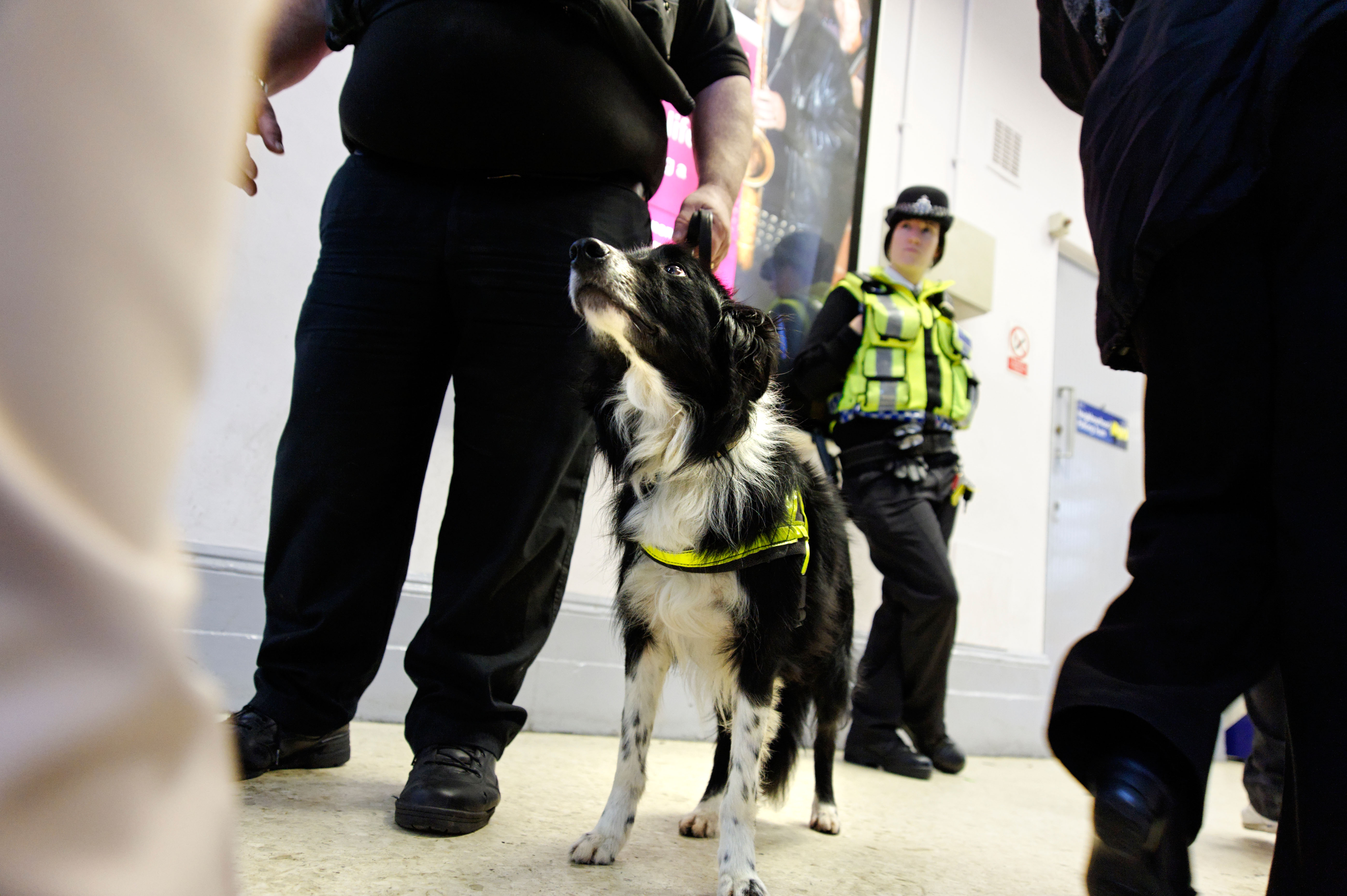 Sniffer dogs deployed to identify spiking drugs across Thames Valley ...