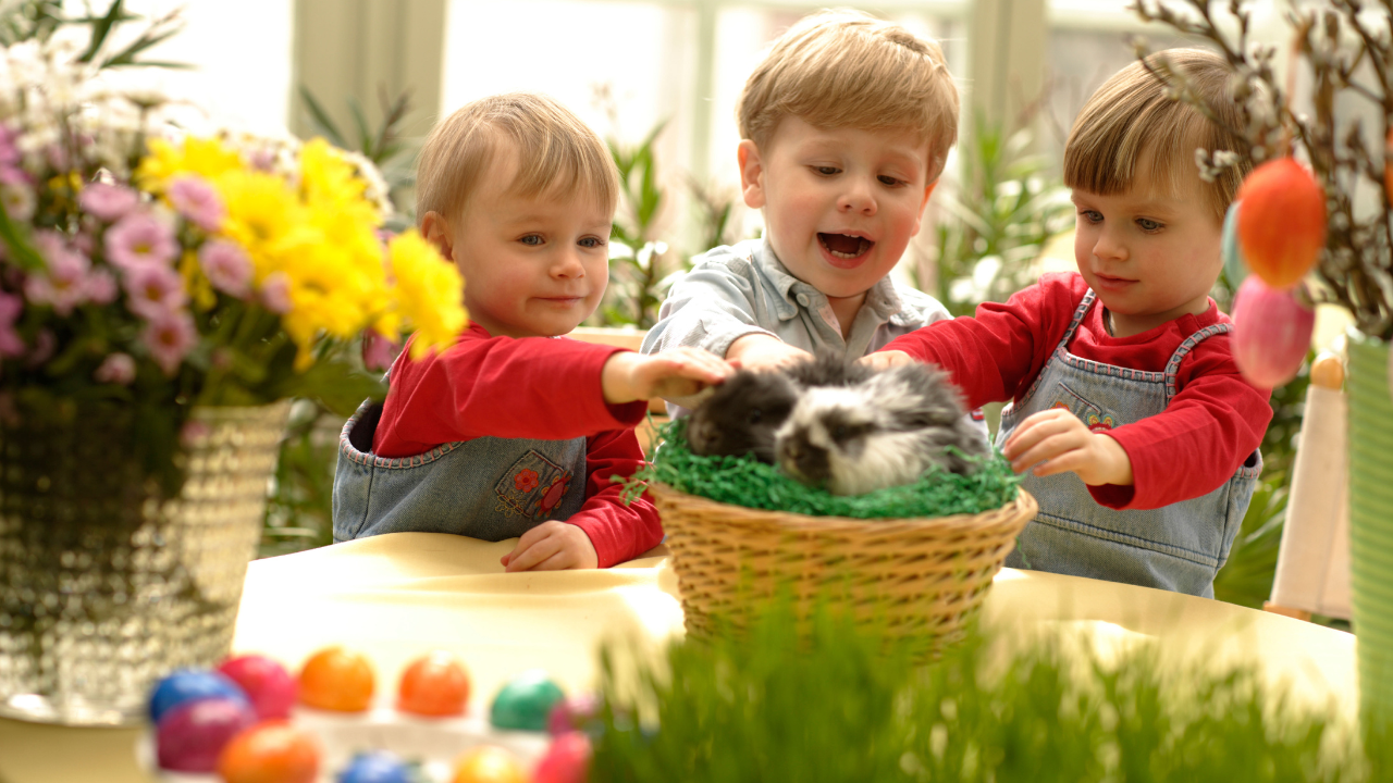 Easter events across Northern Ireland the whole family can enjoy