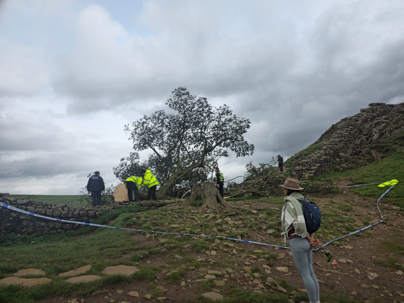 Sycamore Gap felling: Six months on