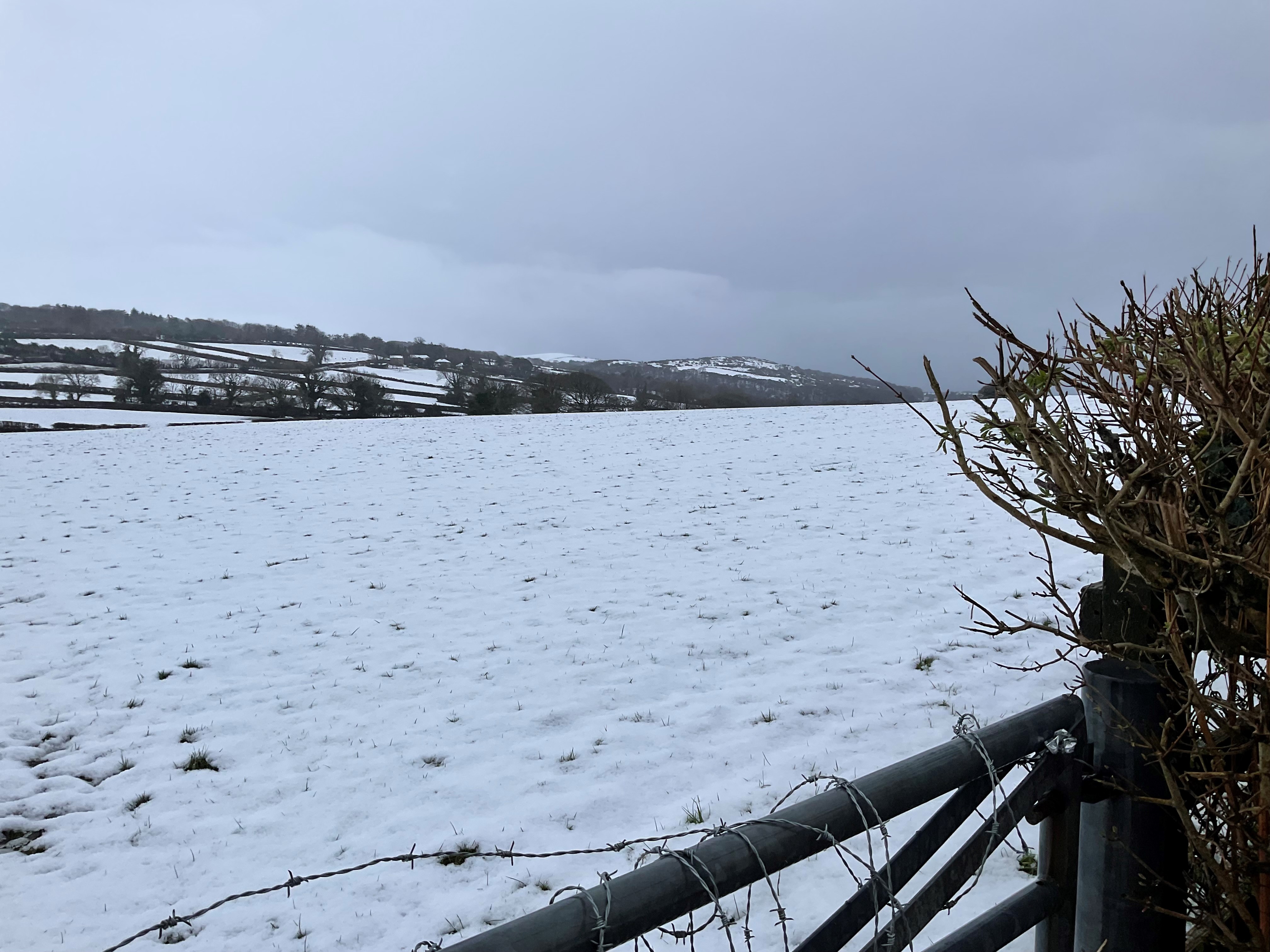 Snow falls in Devon overnight
