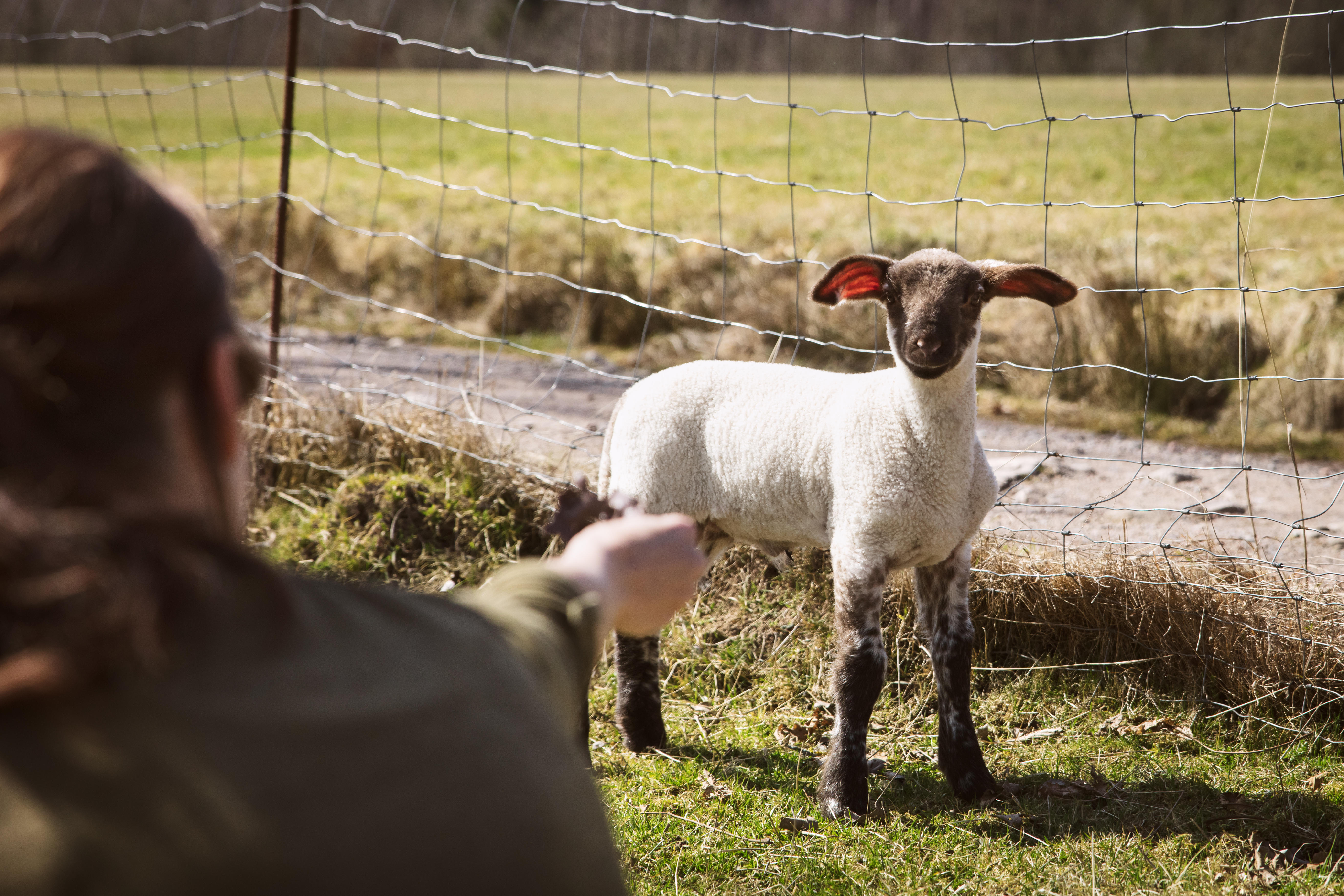 Families in Stamford and Rutland urged to wash hands after visiting ...