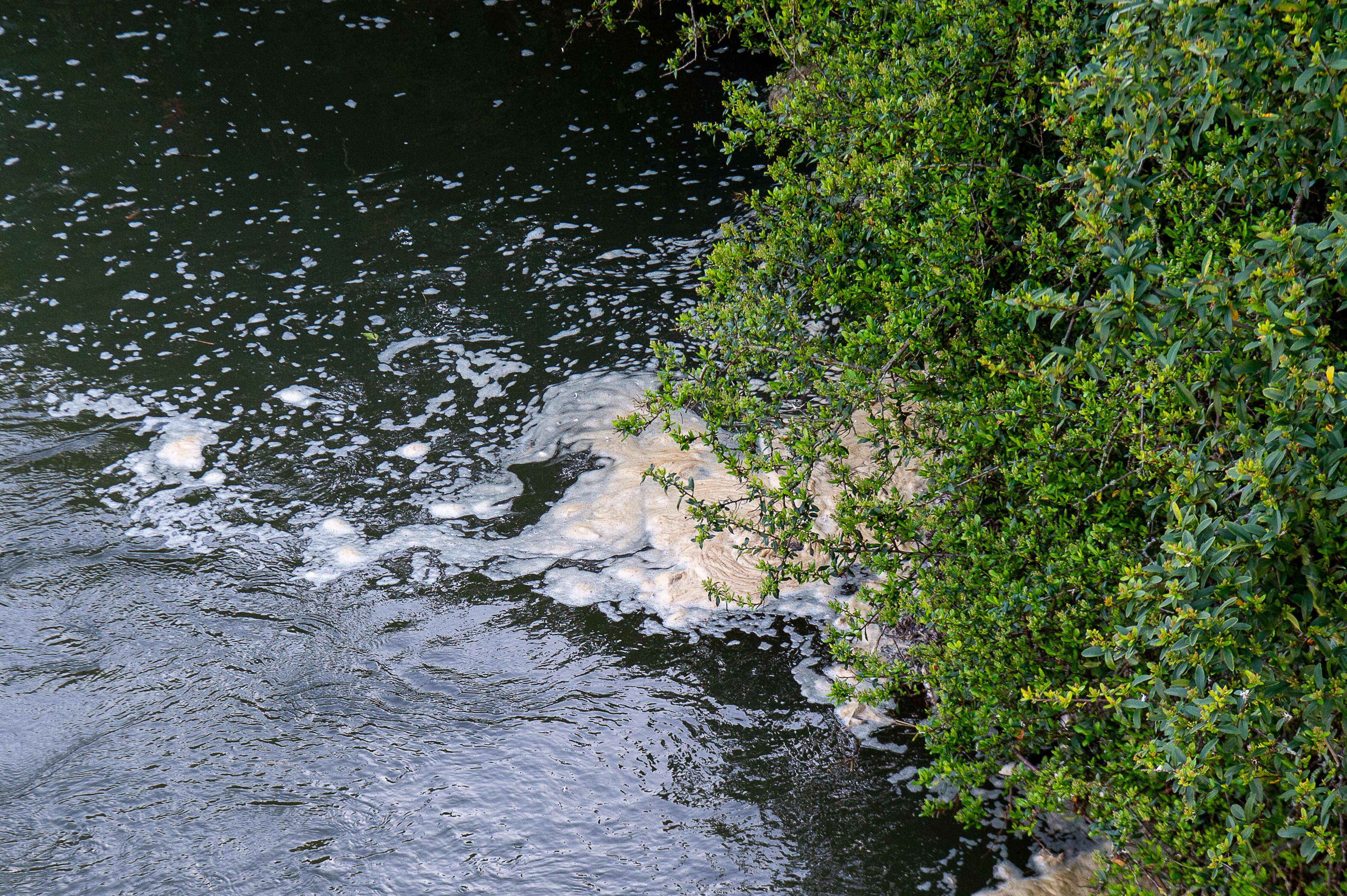 Waterbourne diseases soar - Labour blames sewage spills under Tories ...