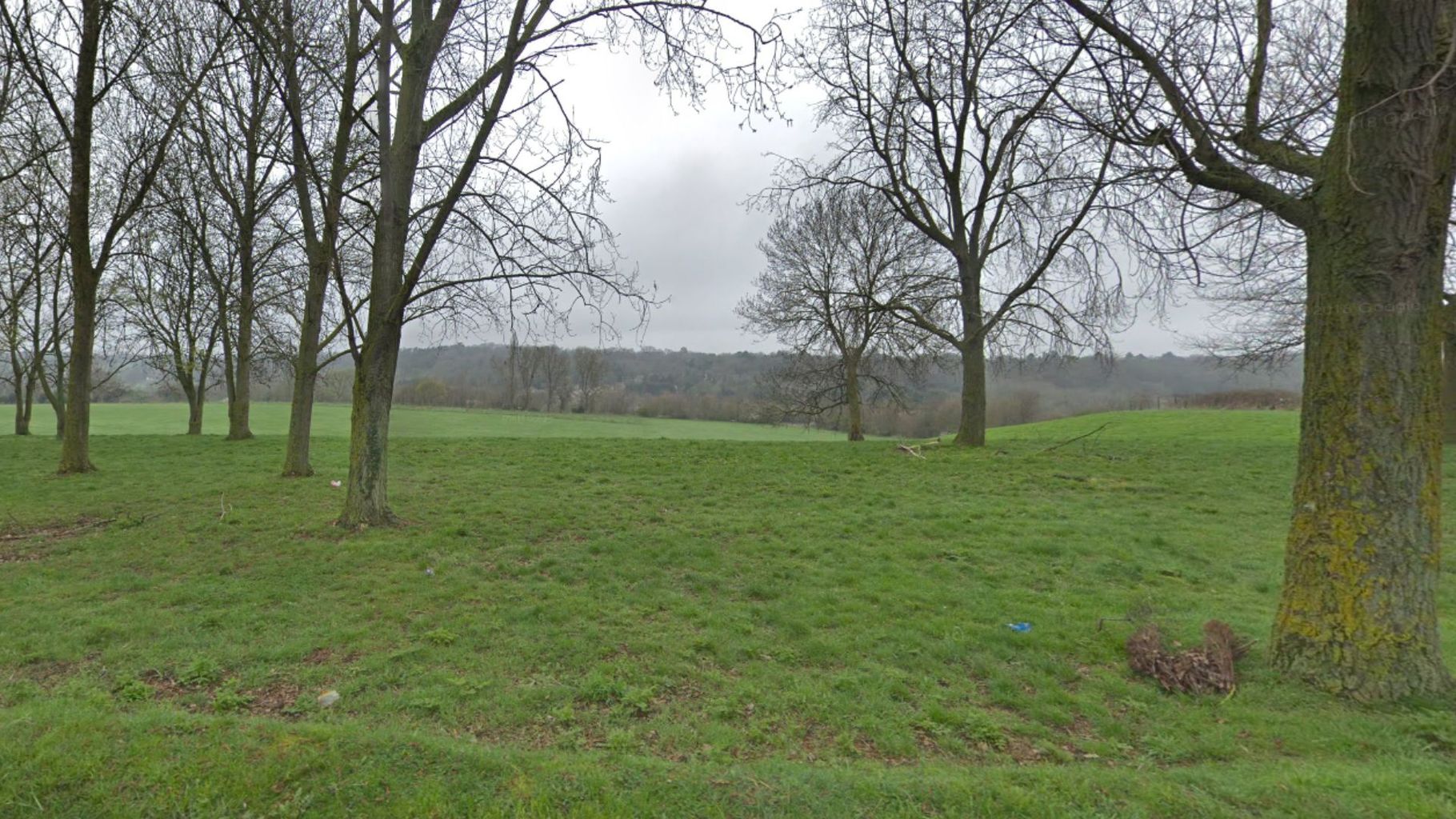 Murder investigation launched after human remains found in south London