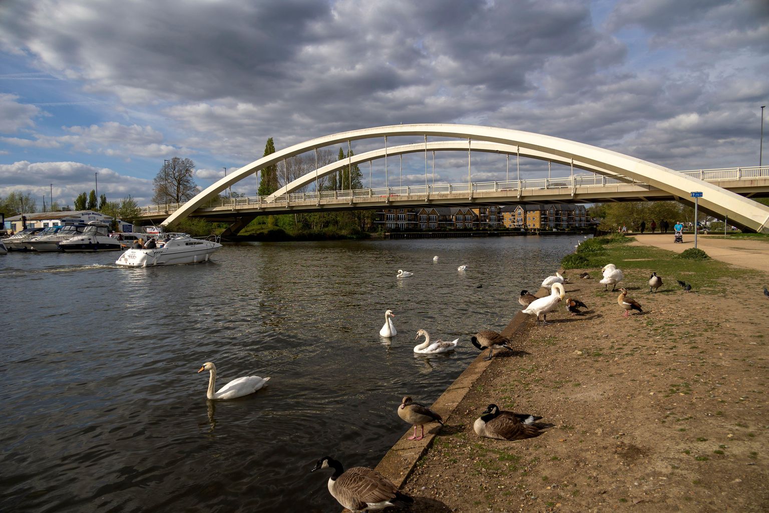Elderly woman dies after being pulled from River Thames in Walton