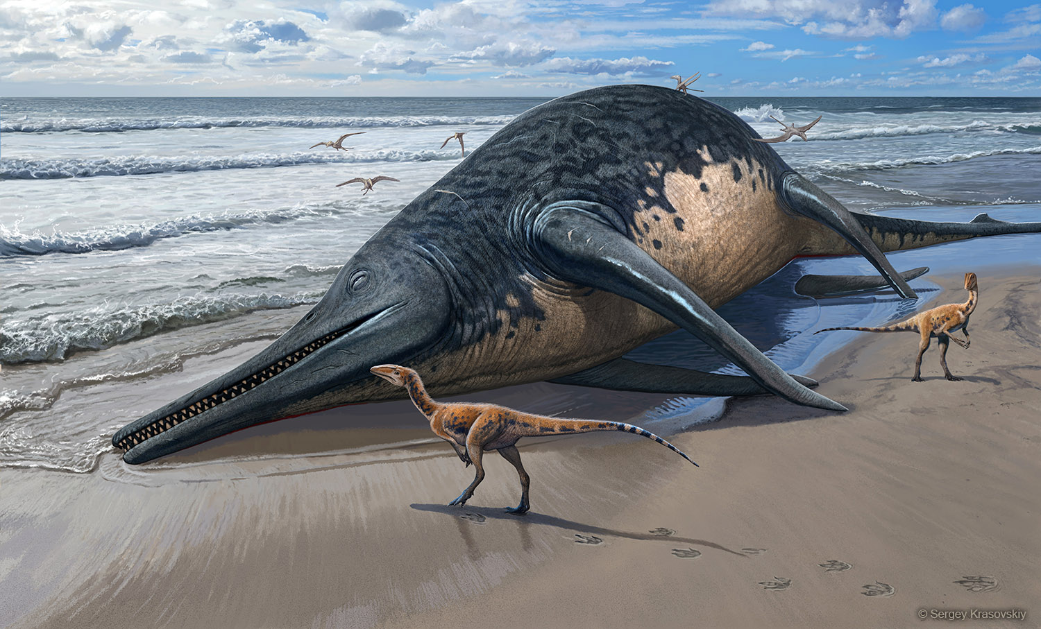 Fossil of monster dinosaur found in West Country