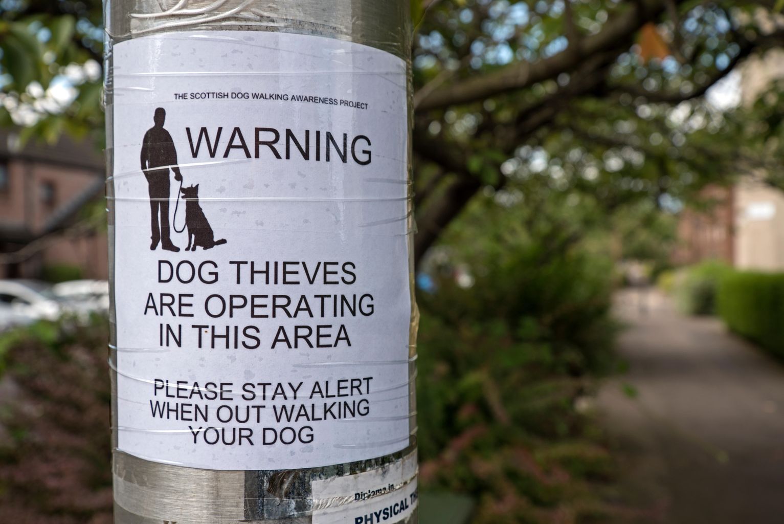 East dog trainer welcomes plans to make pet abduction a criminal ...
