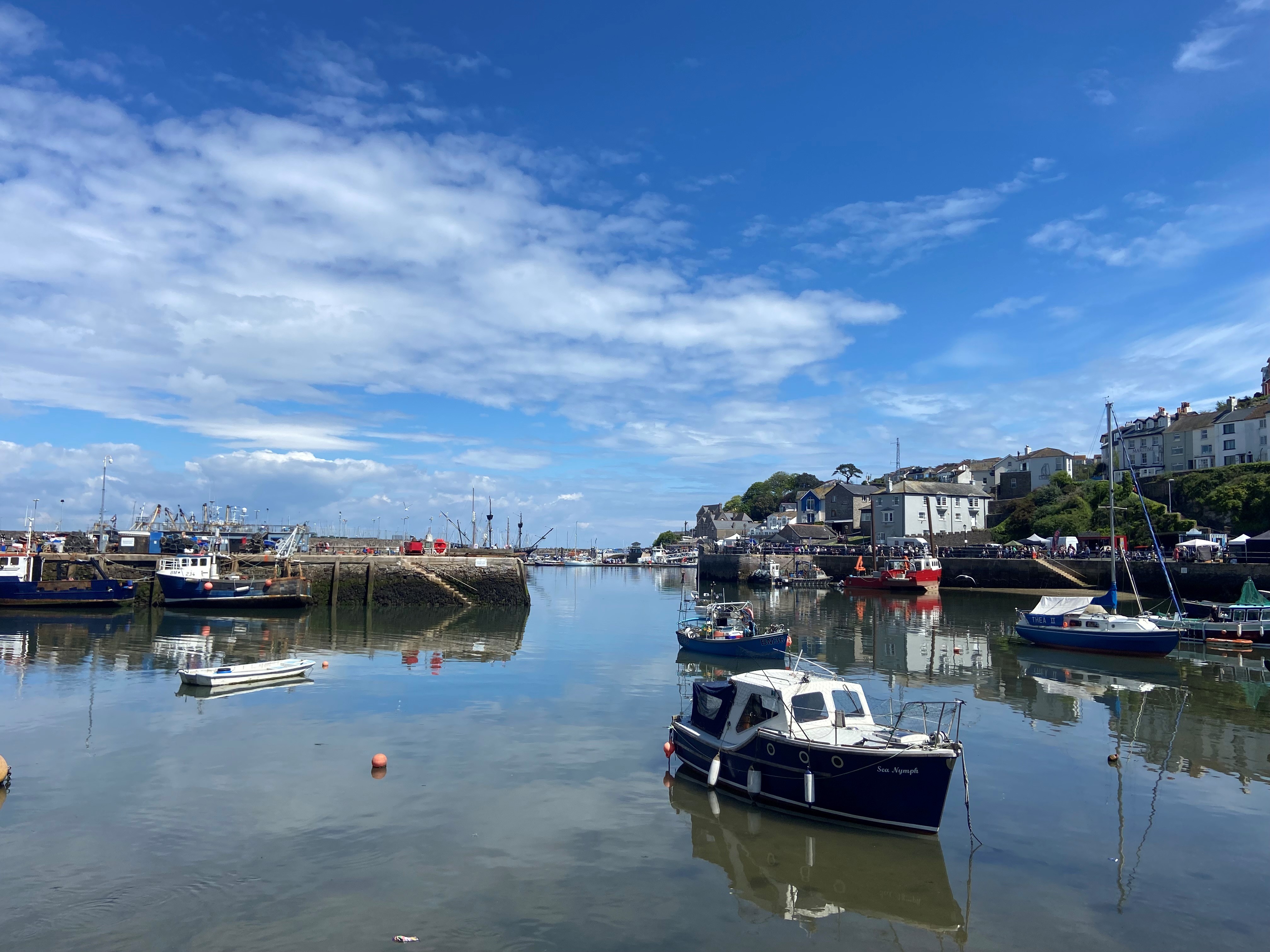 Damaged air valve 'potential source leading to parasite in water network'