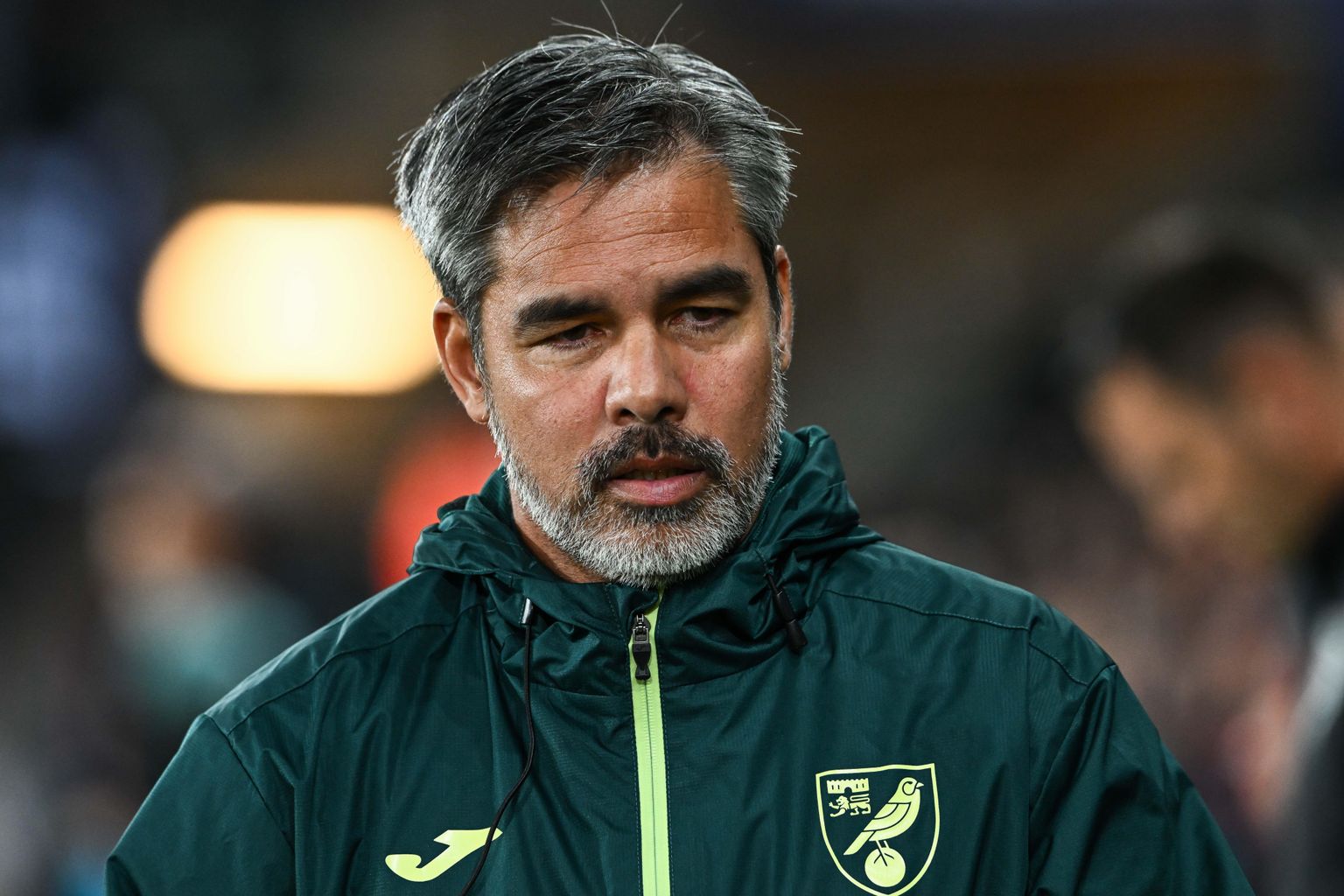David Wagner sacked as Norwich manager after Leeds defeat