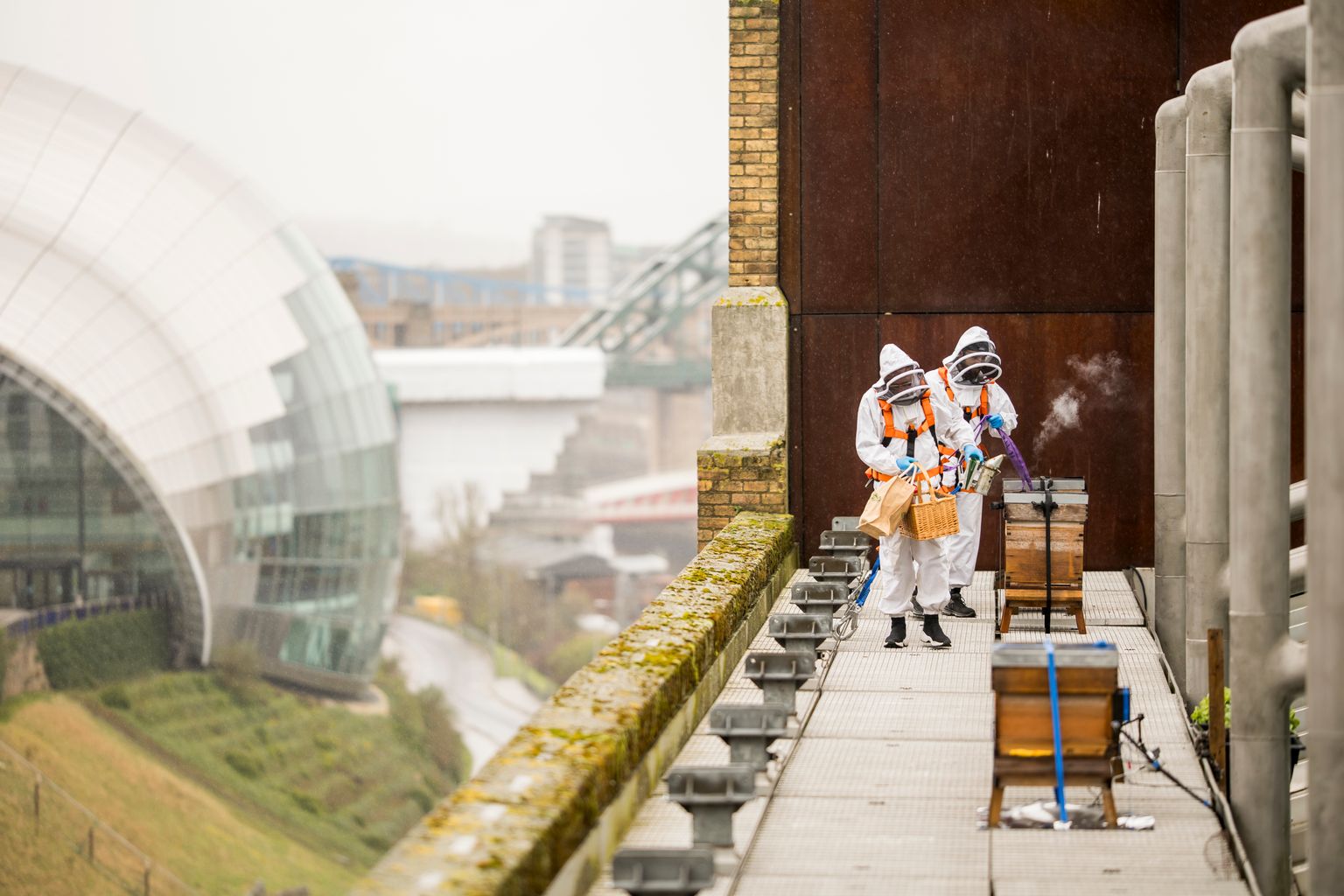 Young dads get involved in Bee-Keeping in Gateshead