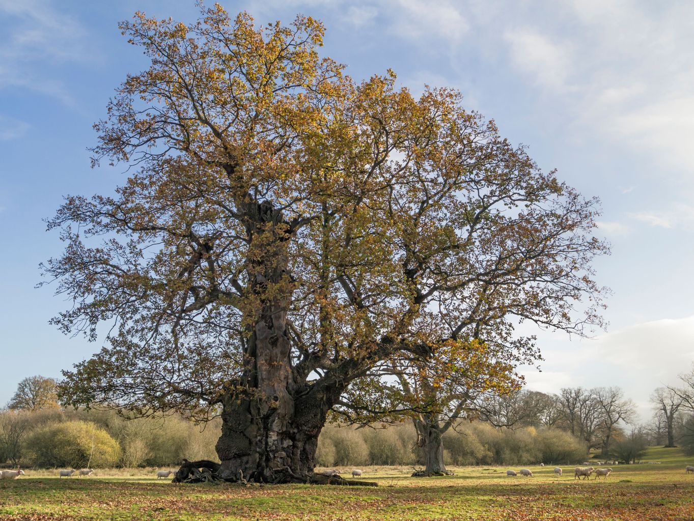 Herefordshire nature reserve set to increase in size