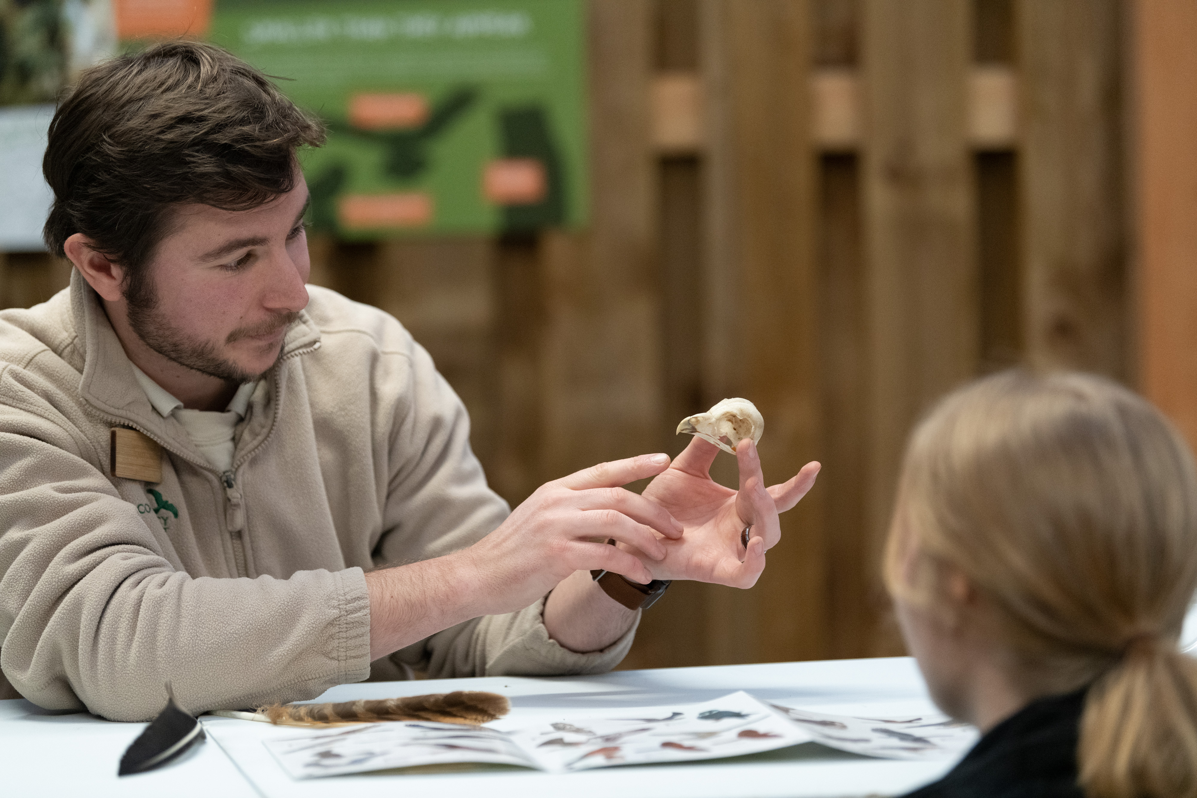 Hawk Conservancy Trust funding school trips through cost-of-living