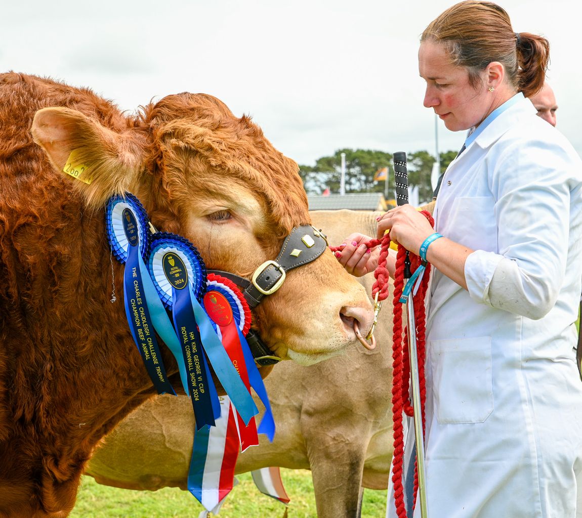 "Impressive" numbers attend Royal Cornwall Show 2024